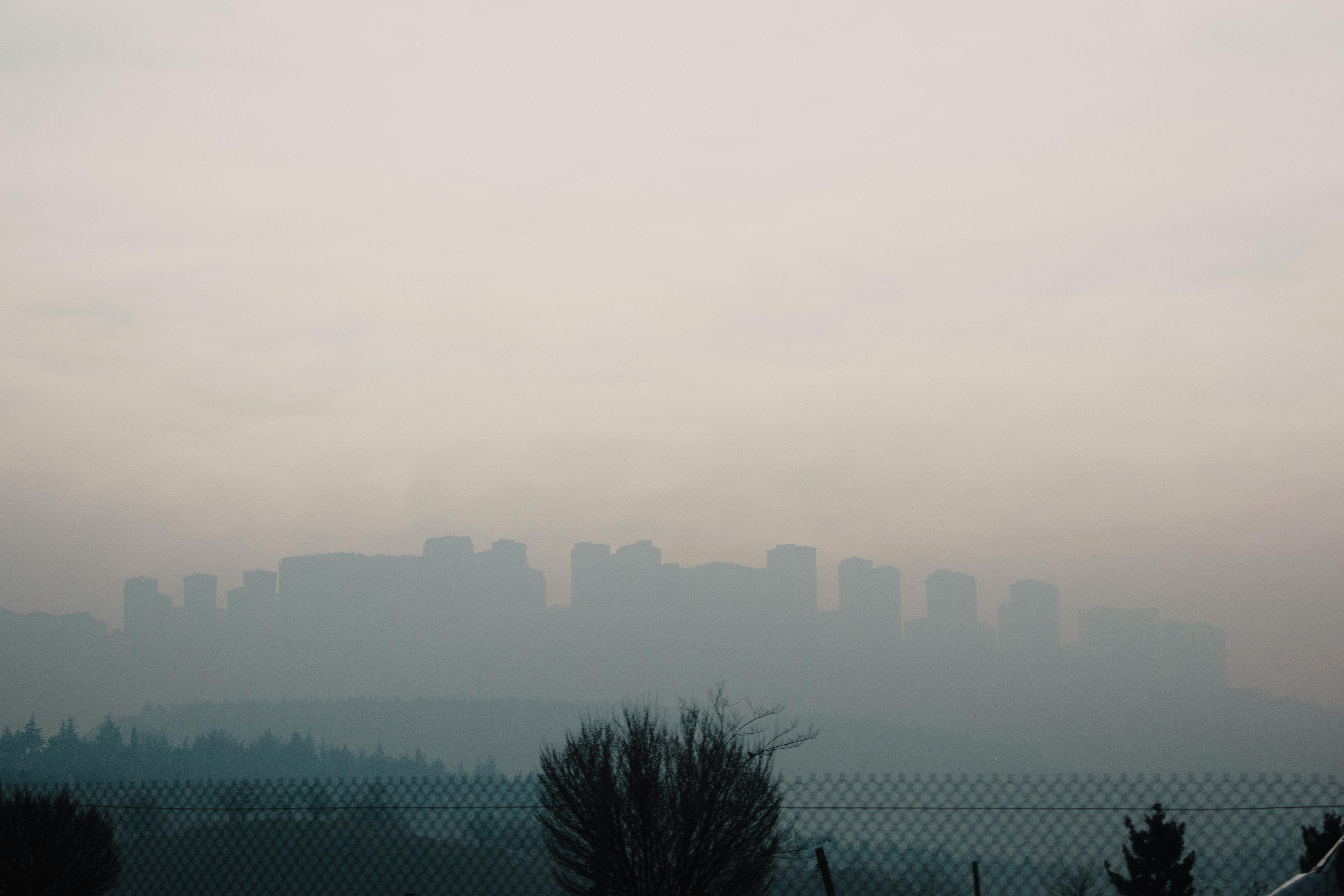 Street Lights under Overcast Sky · Free Stock Photo