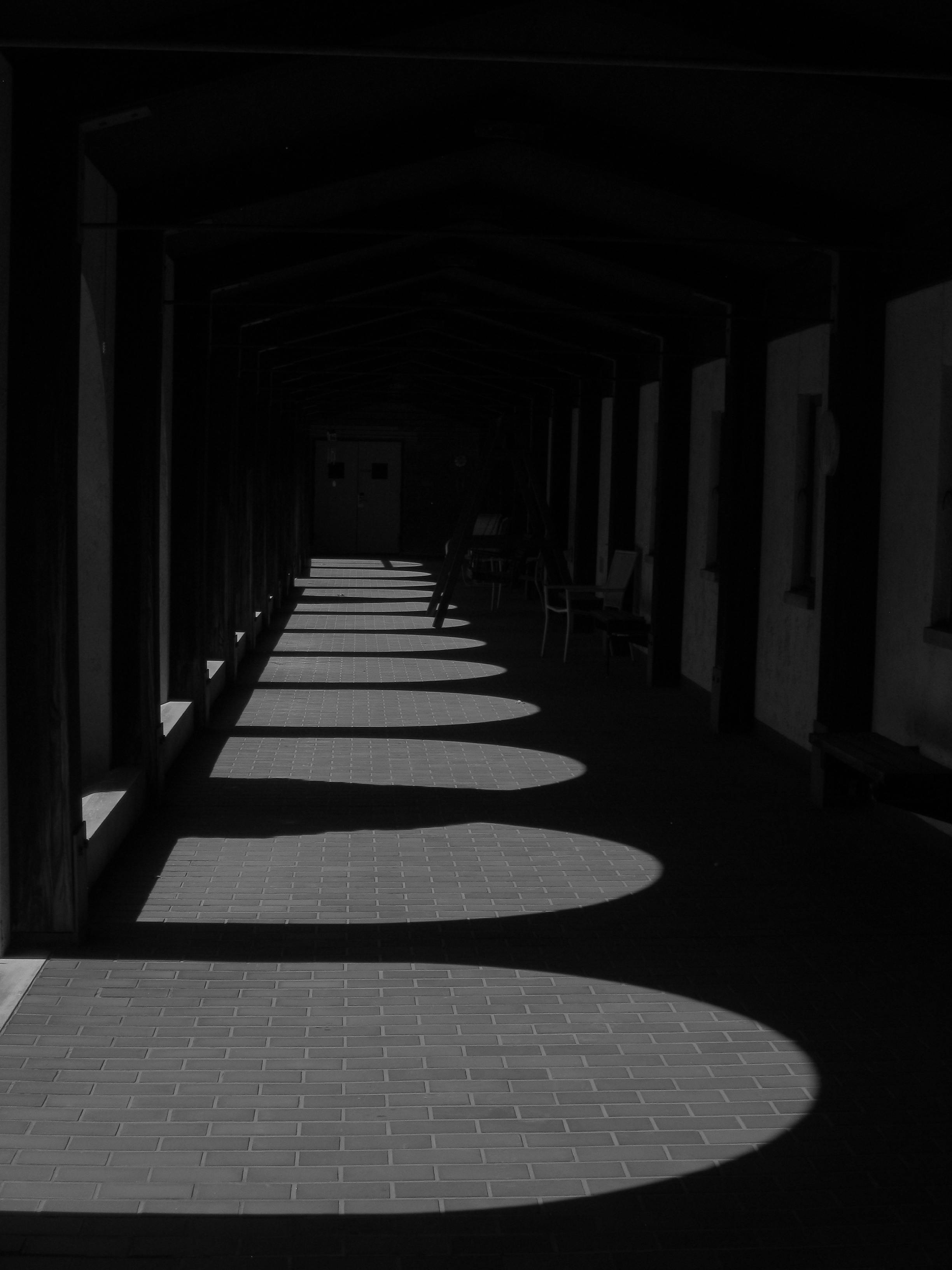Walkway at Shinto Temple · Free Stock Photo