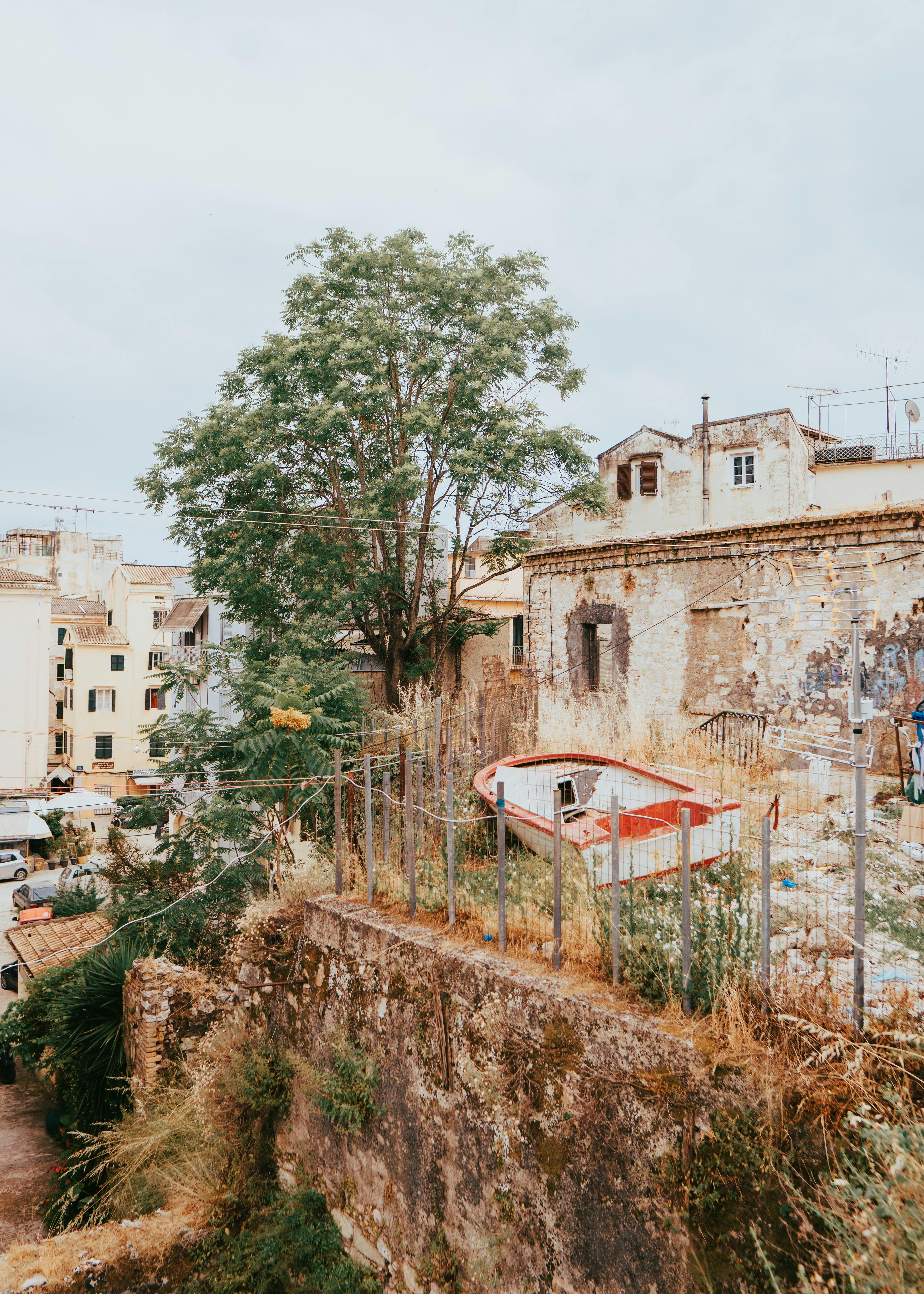 Tree near Building in Town · Free Stock Photo