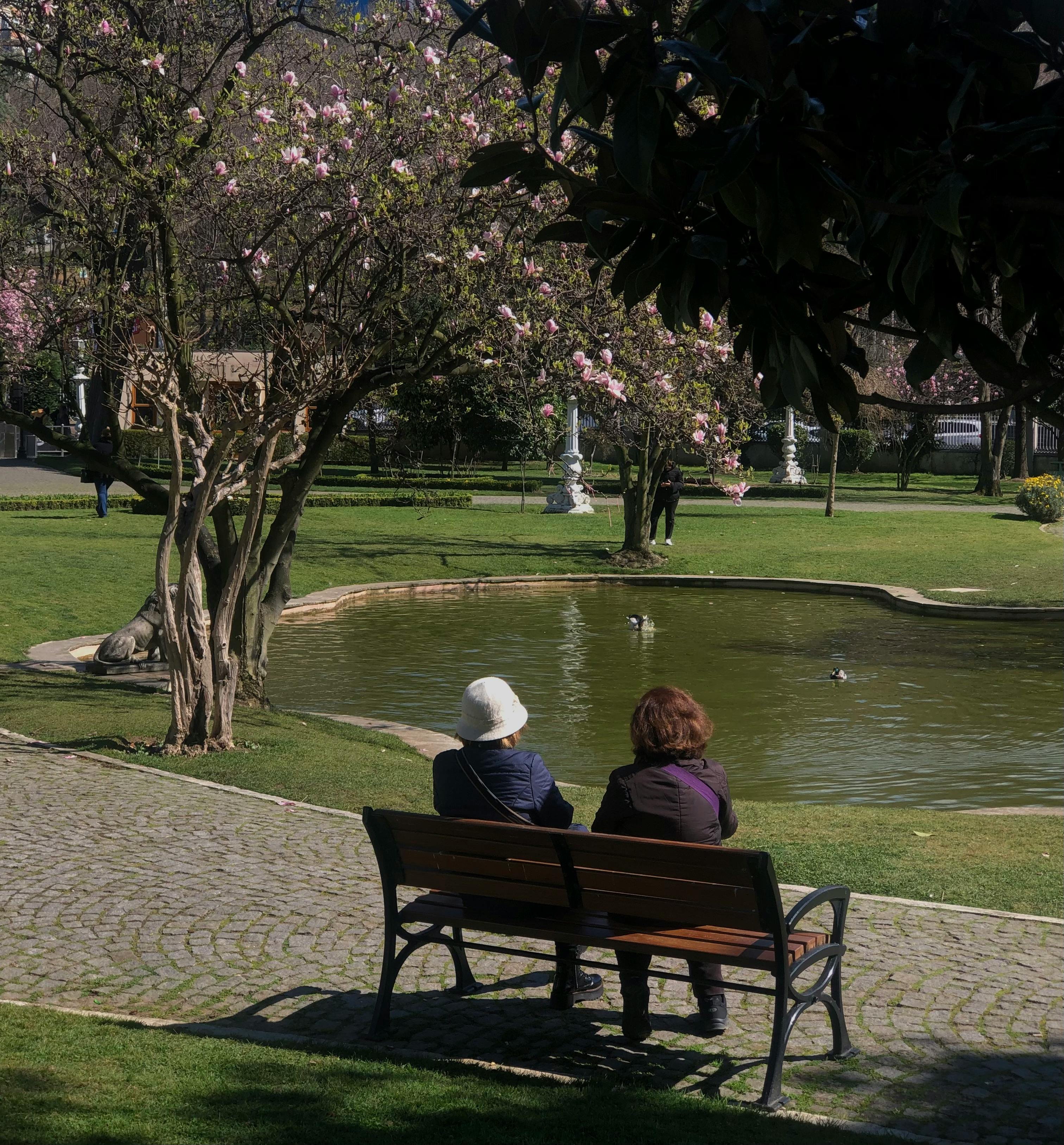 Back View of Two Women Sitting on the Bench in a Park · Free Stock Photo