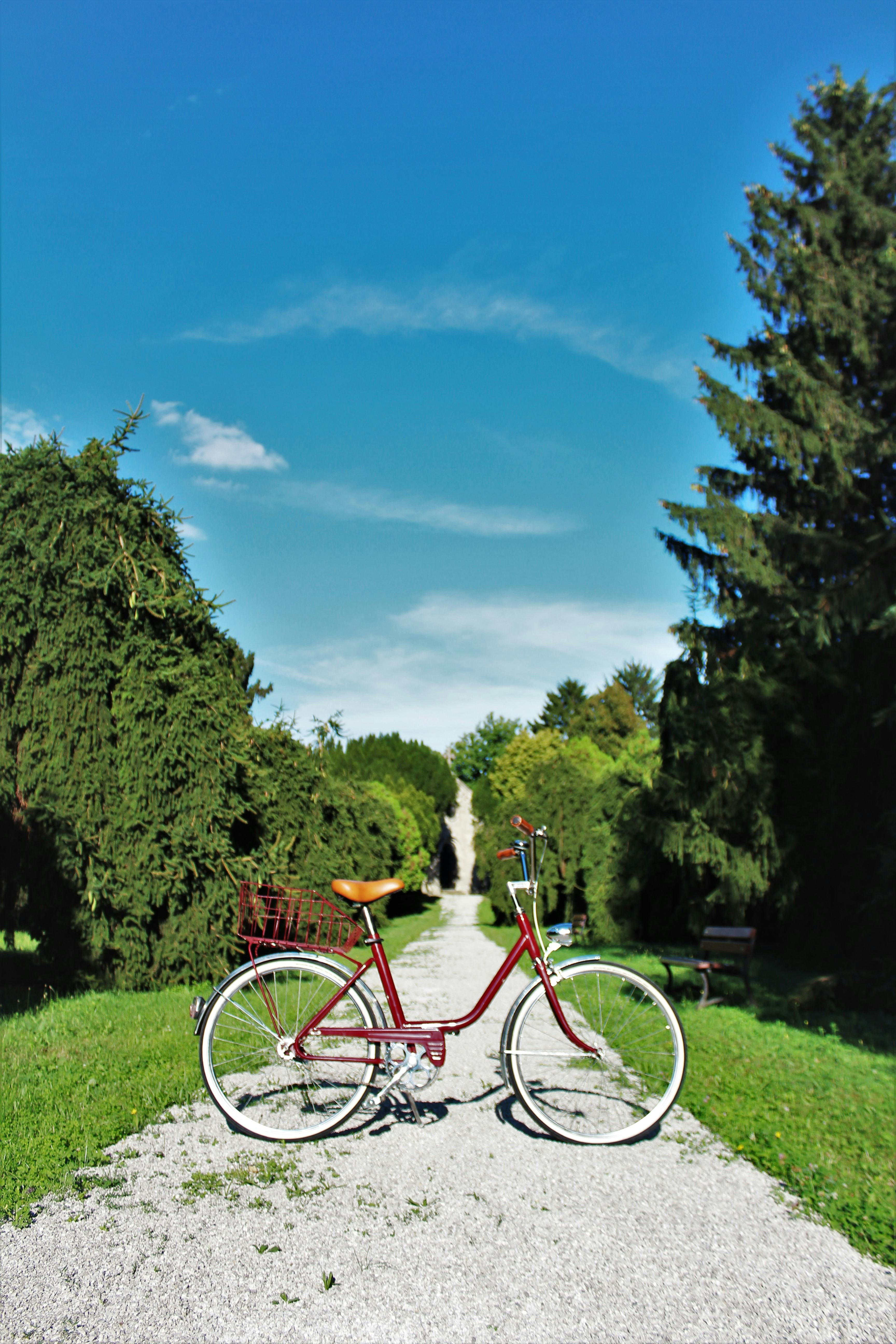 1000+ Fahrrad Fotos · Pexels · Kostenlose Stock-Fotos