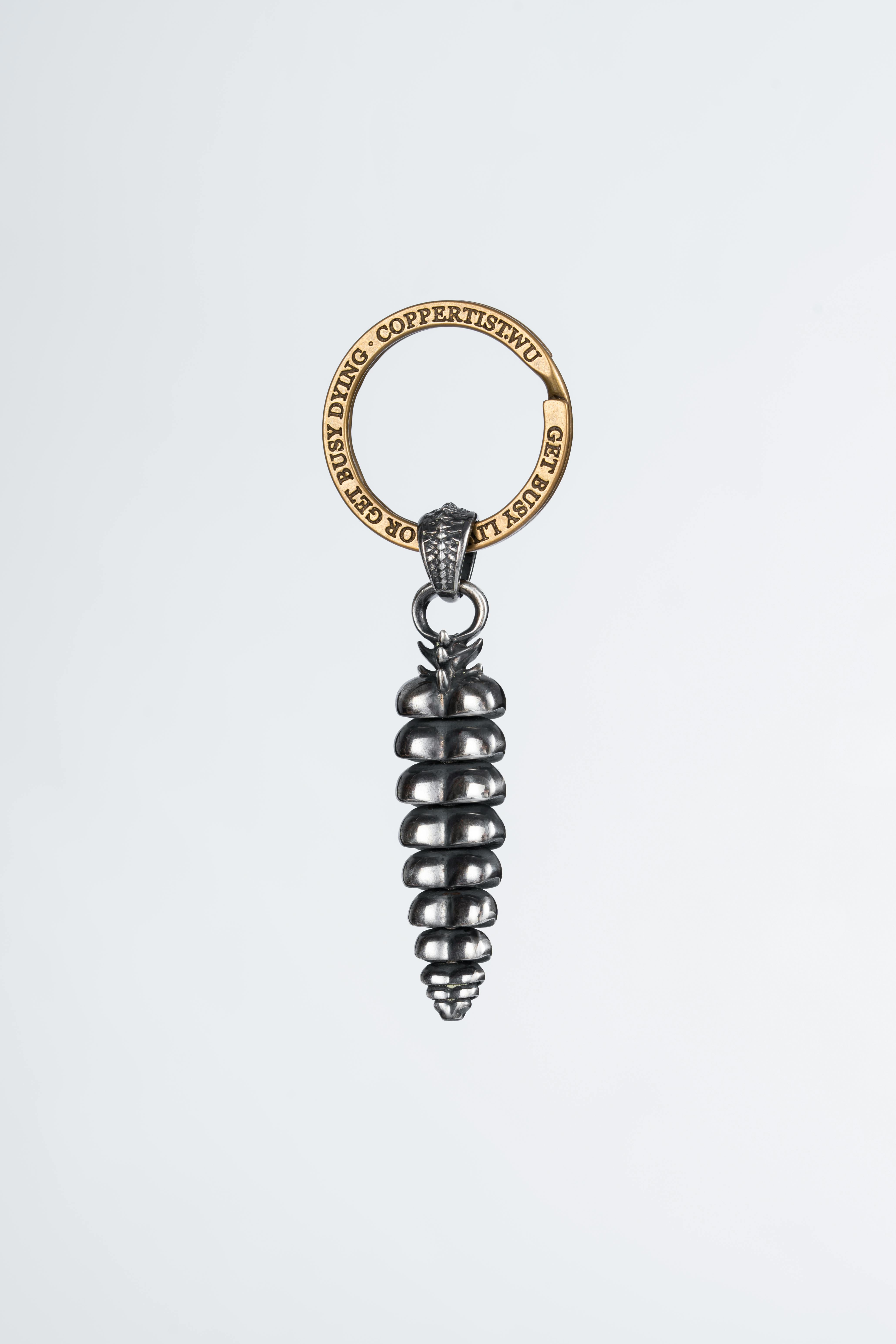 Golden Lion Key Ring · Free Stock Photo