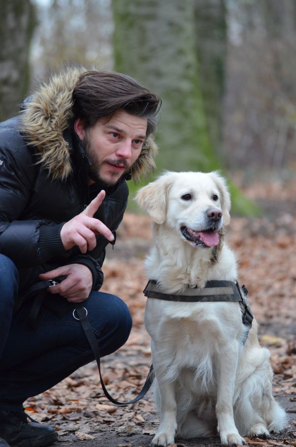 40,000+ Best Dog Training Photos · 100% Free Download · Pexels Stock Photos