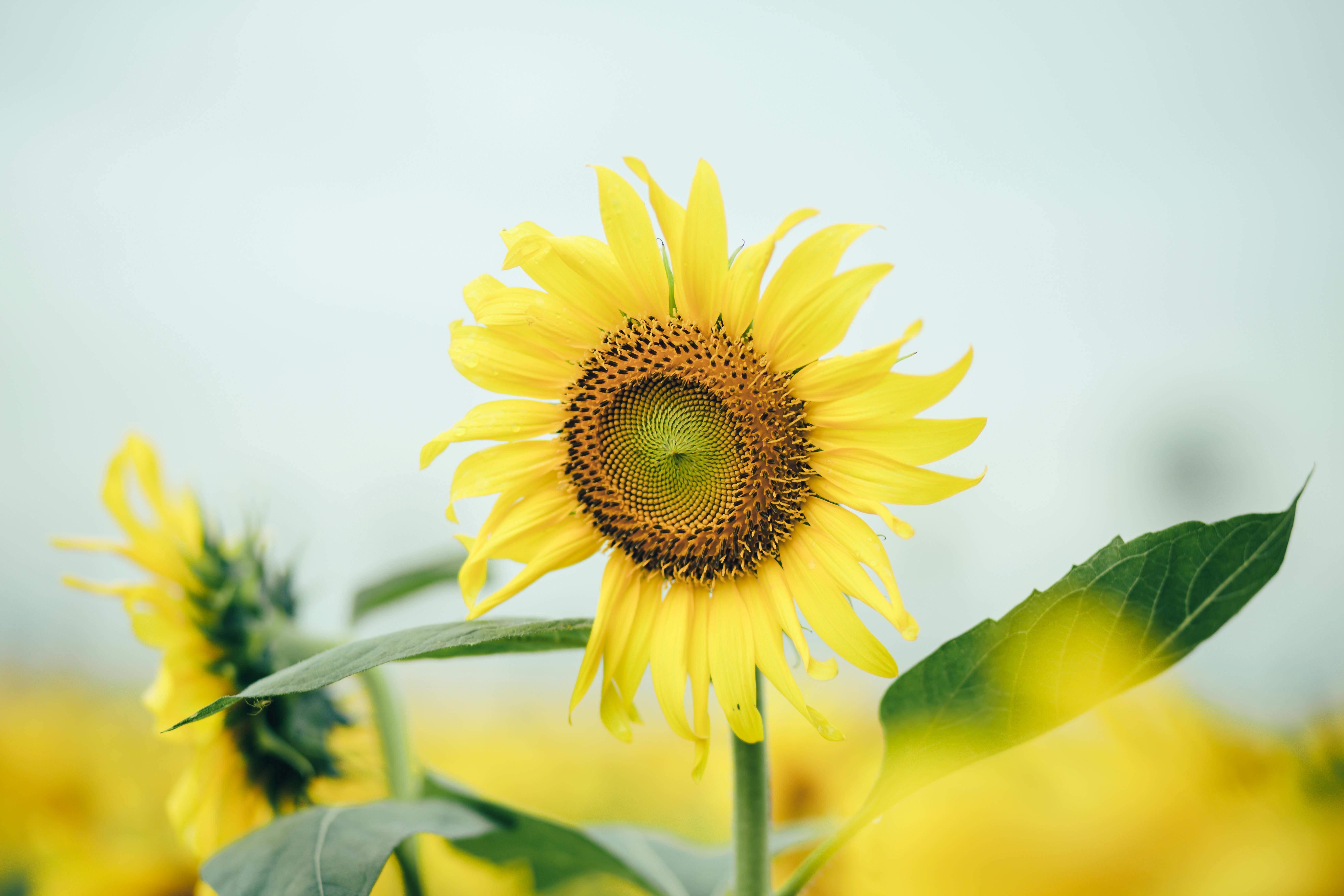 Mind Fresh Wallpaper Photos, Download The BEST Free Mind Fresh ...