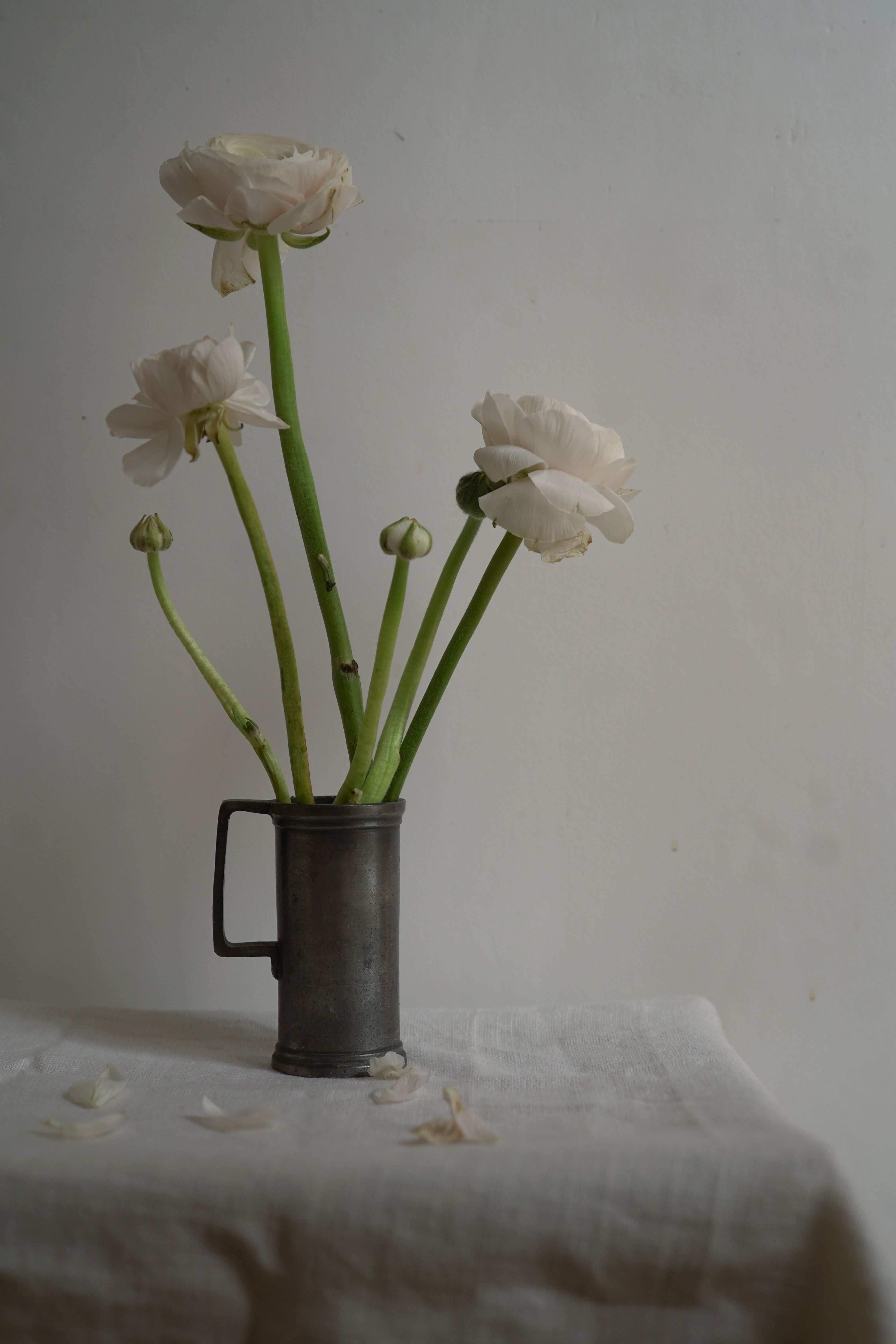 Foto profissional gratuita de arranjo, decoração, flores, natureza ...
