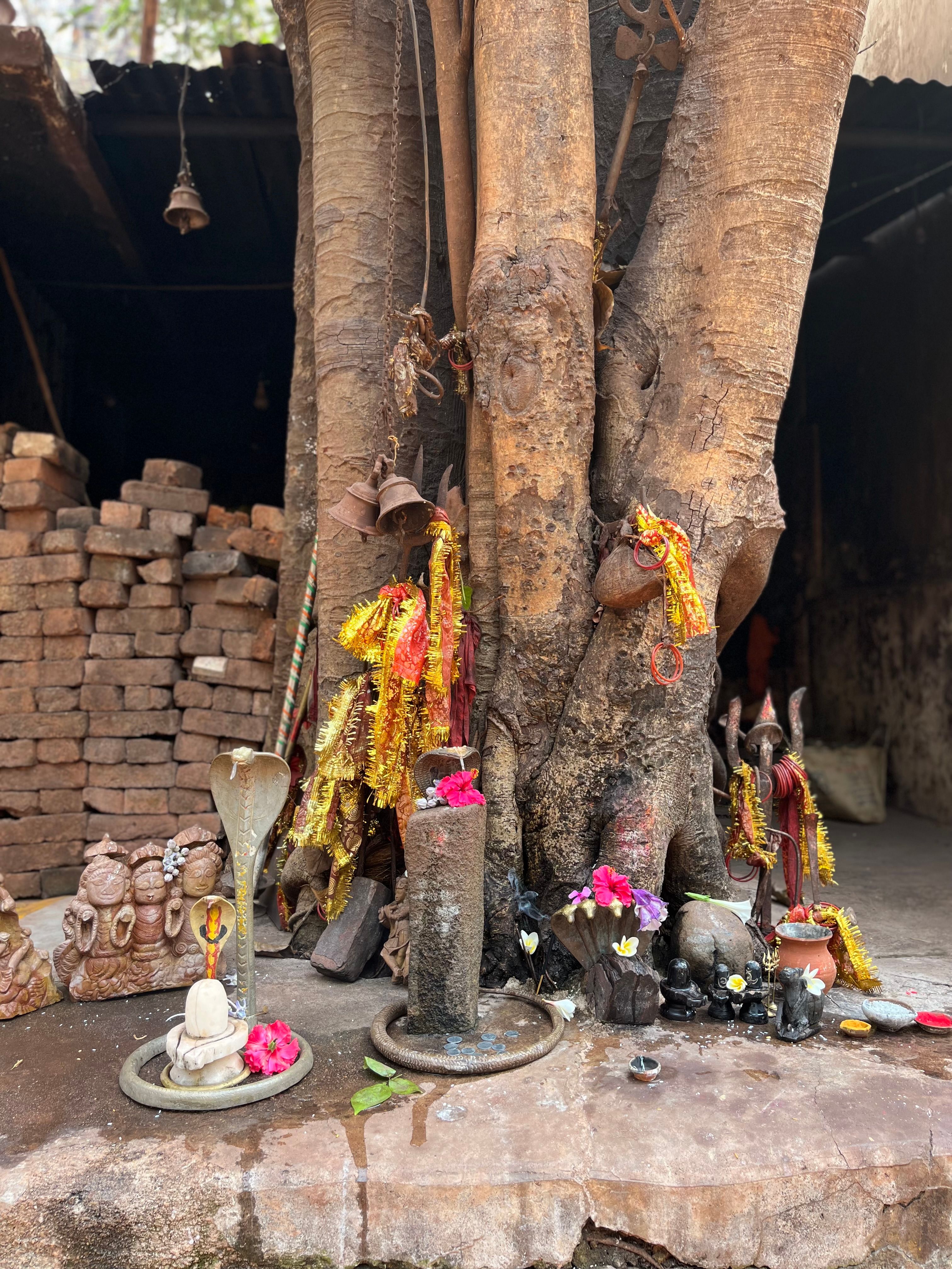 Shrine by Tree · Free Stock Photo