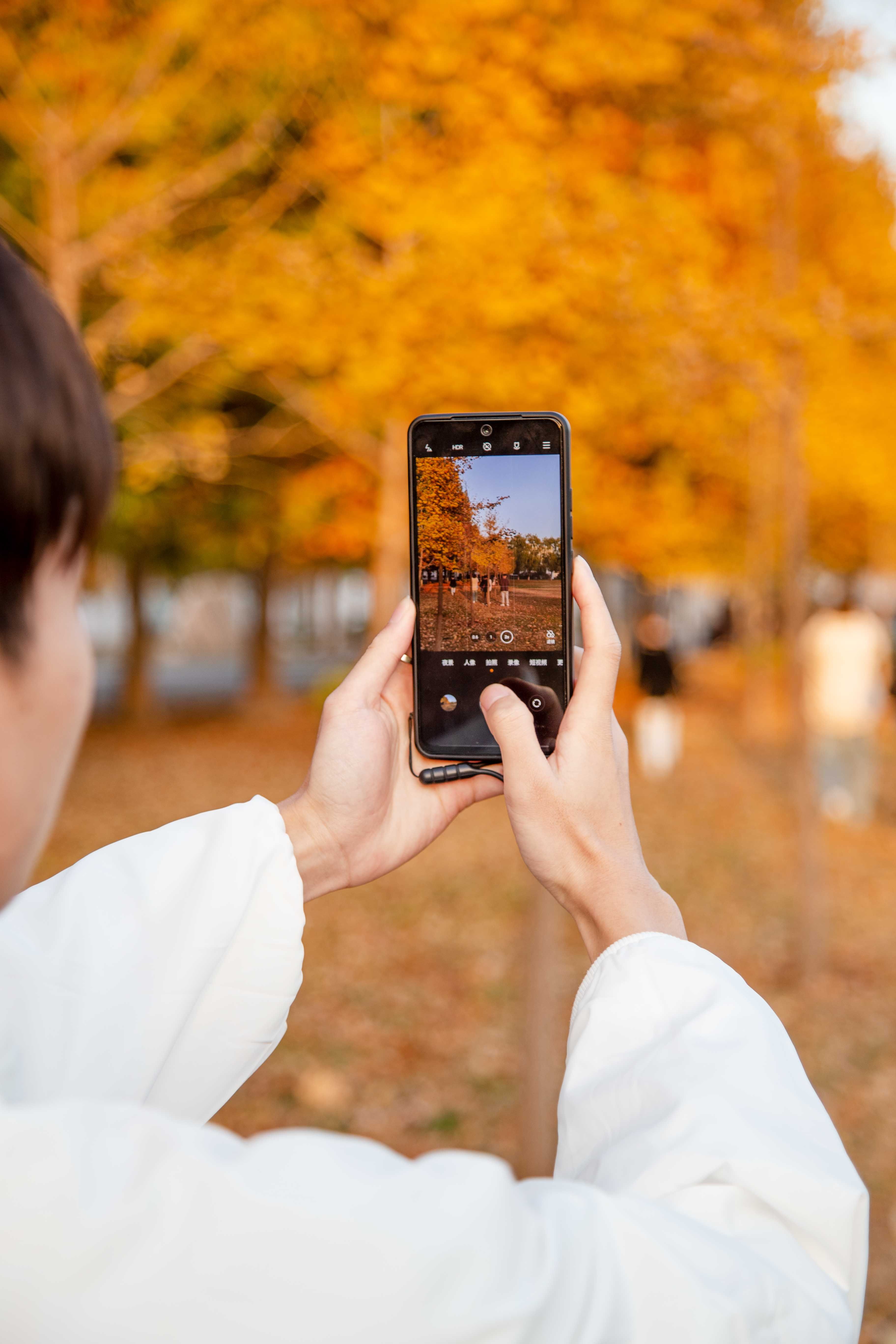 Screen Saver Seasonal Photos, Download The BEST Free Screen Saver ...