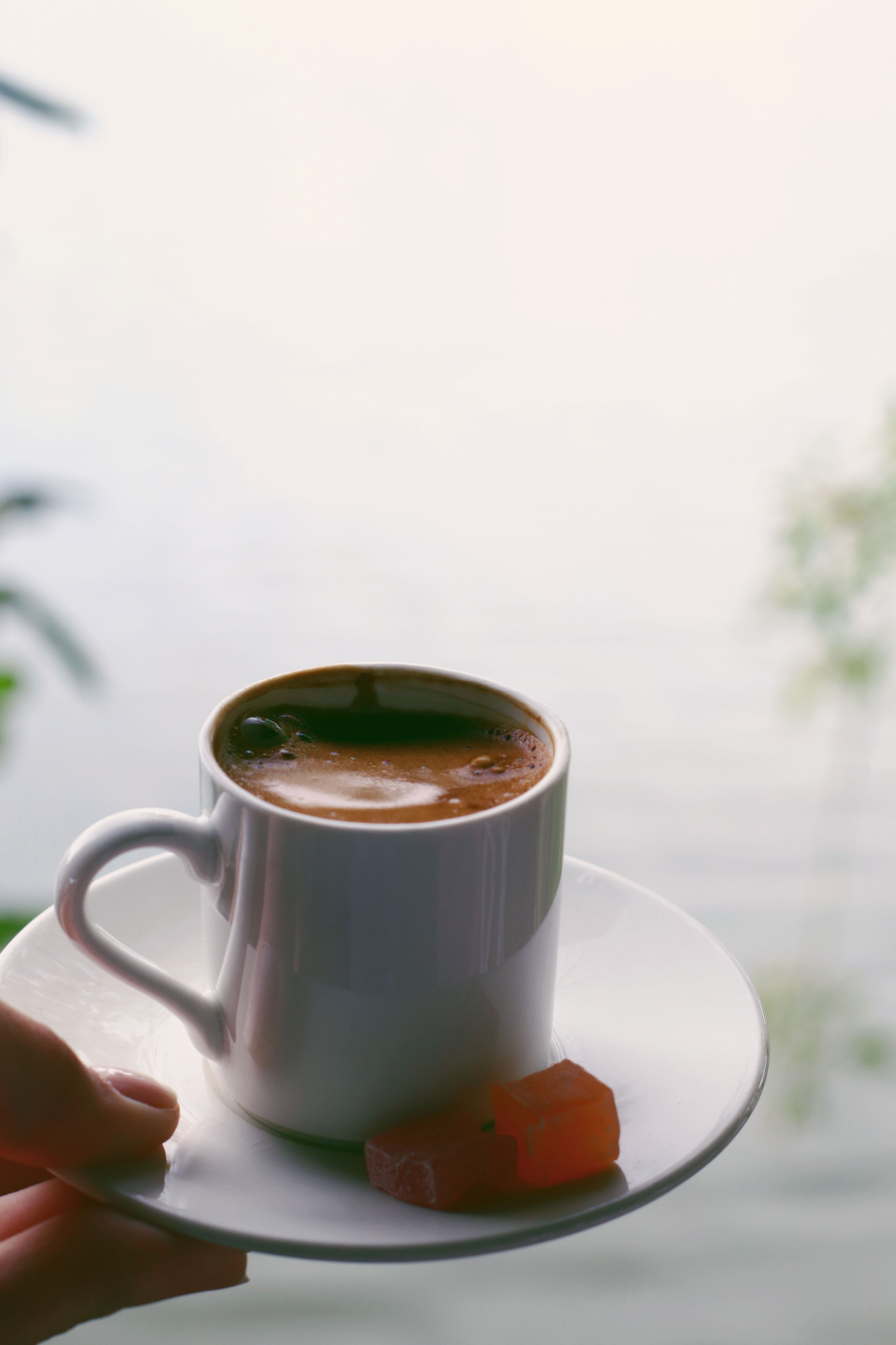 Cup of Delicious Coffee · Free Stock Photo