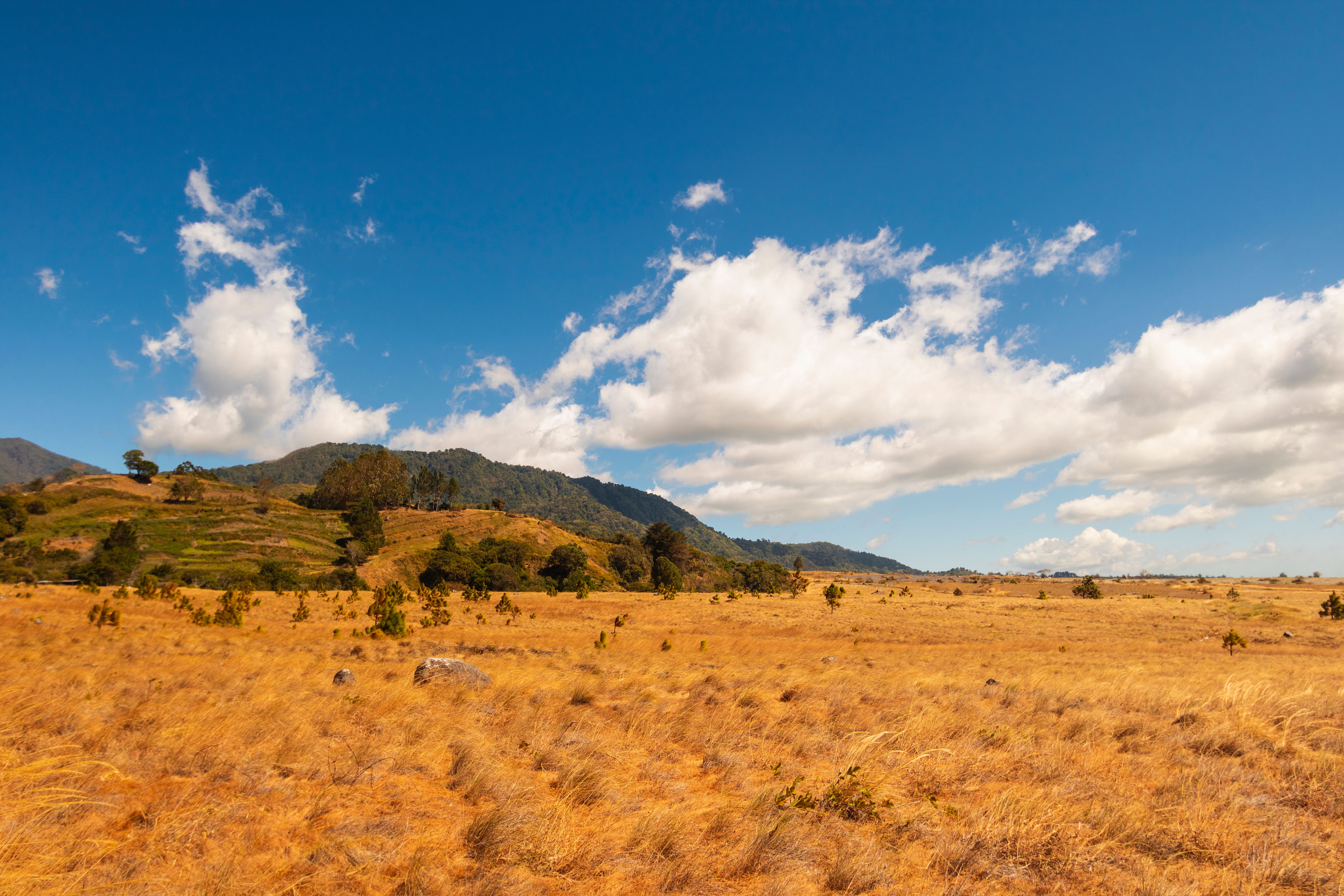 A large open field with grass and mountains in the background · Free ...