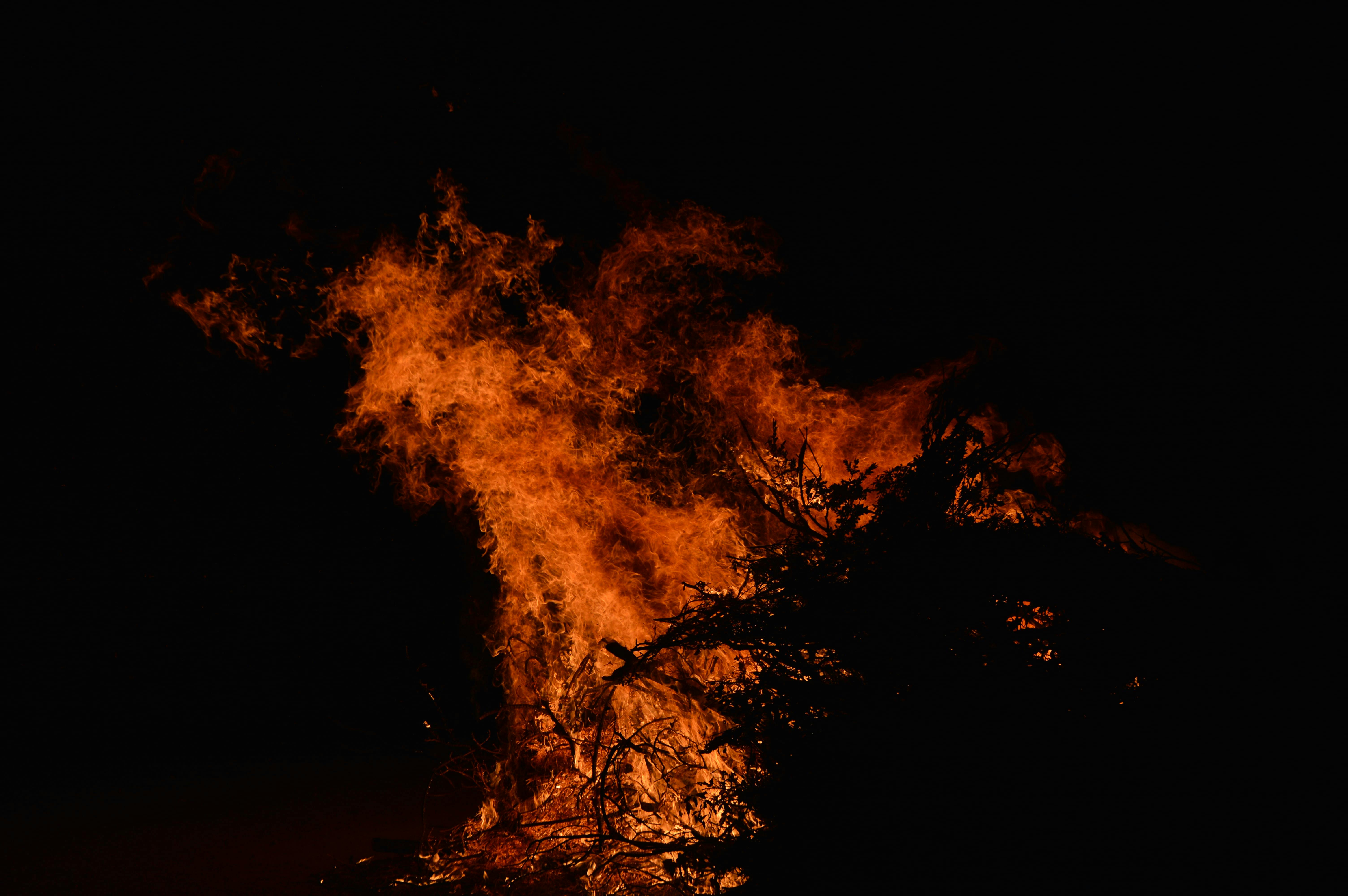 Photo of a Fire at Night · Free Stock Photo