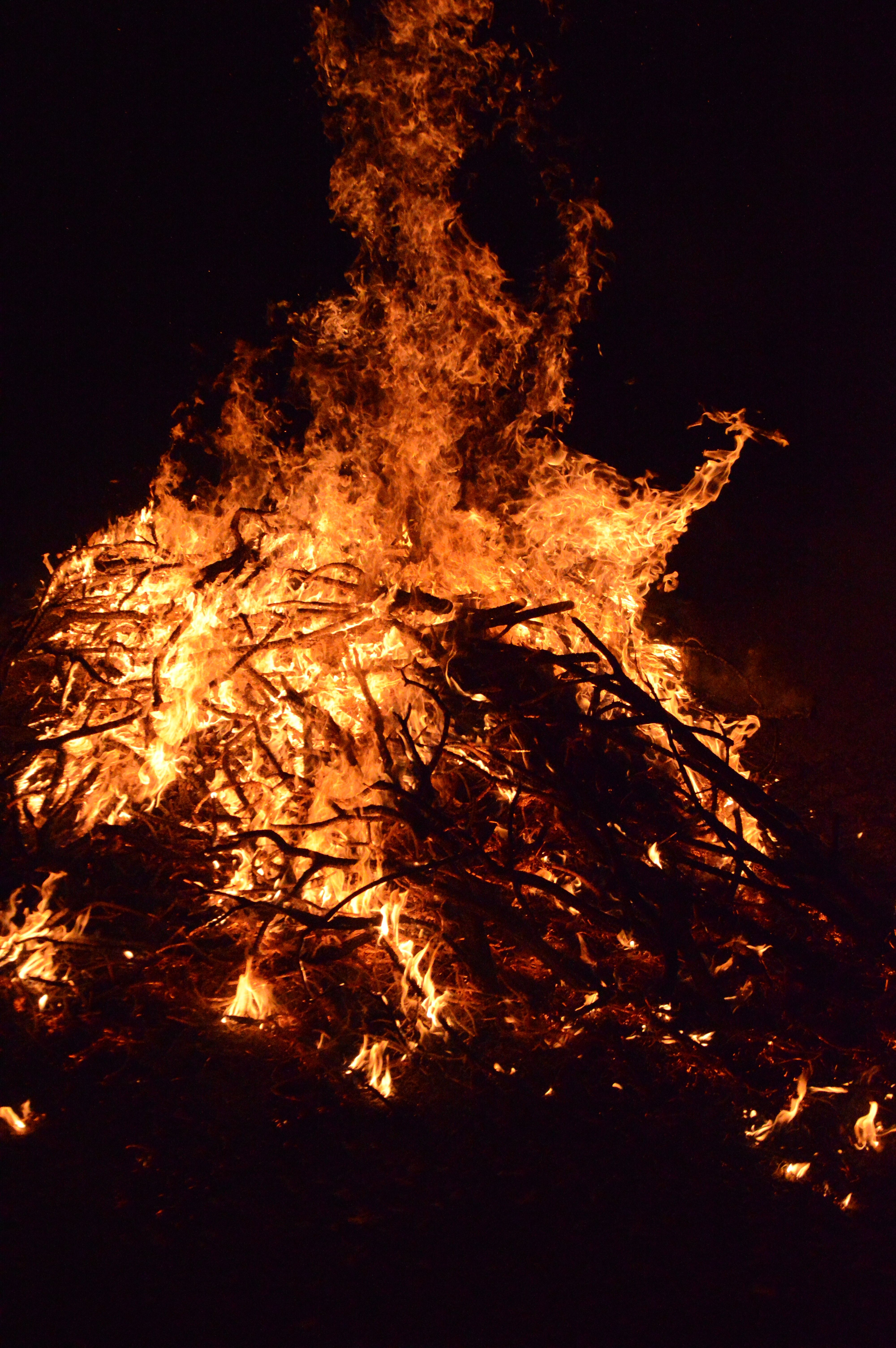 Bonfire at Night · Free Stock Photo
