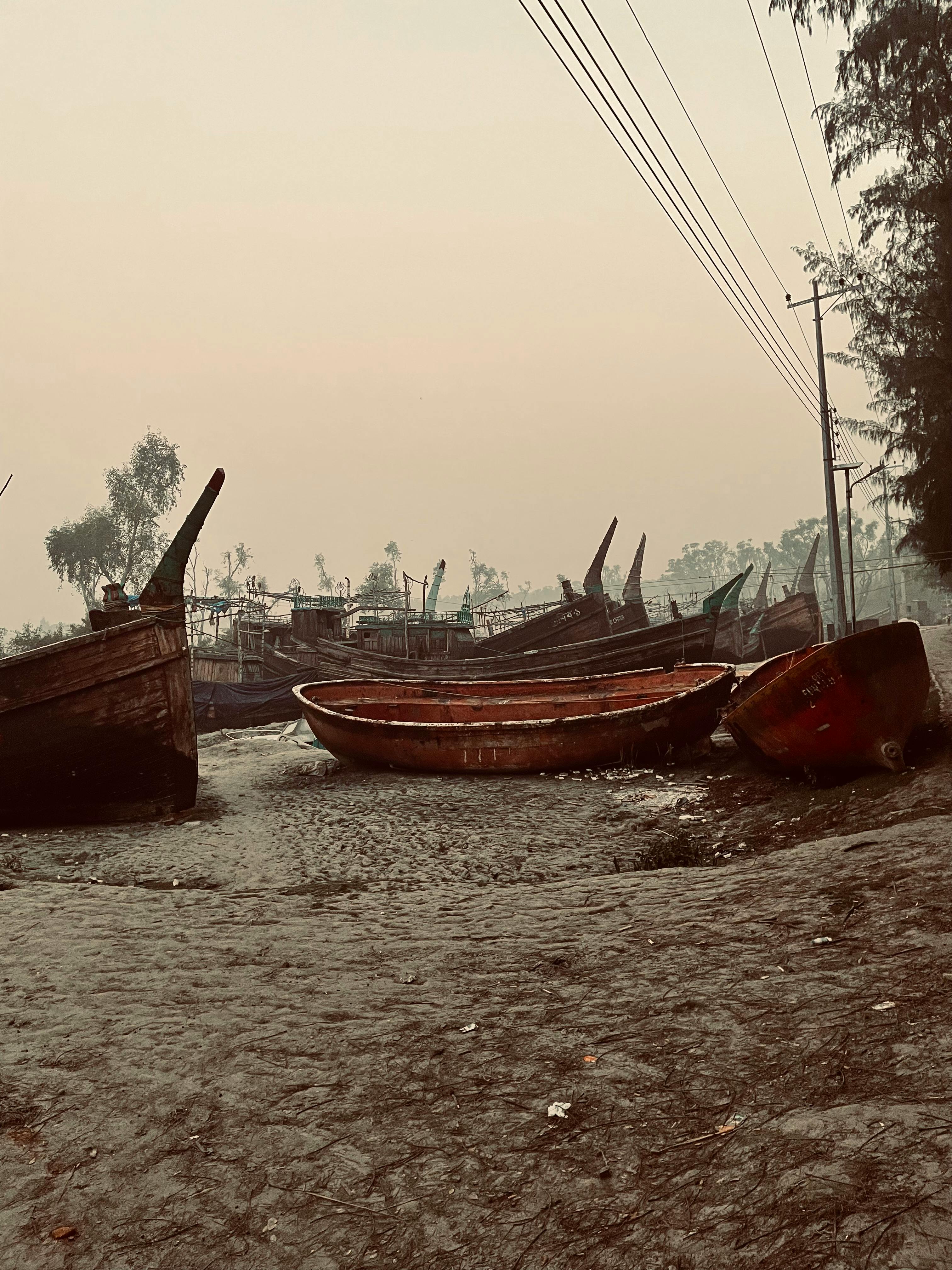 Imran Molla - 写真