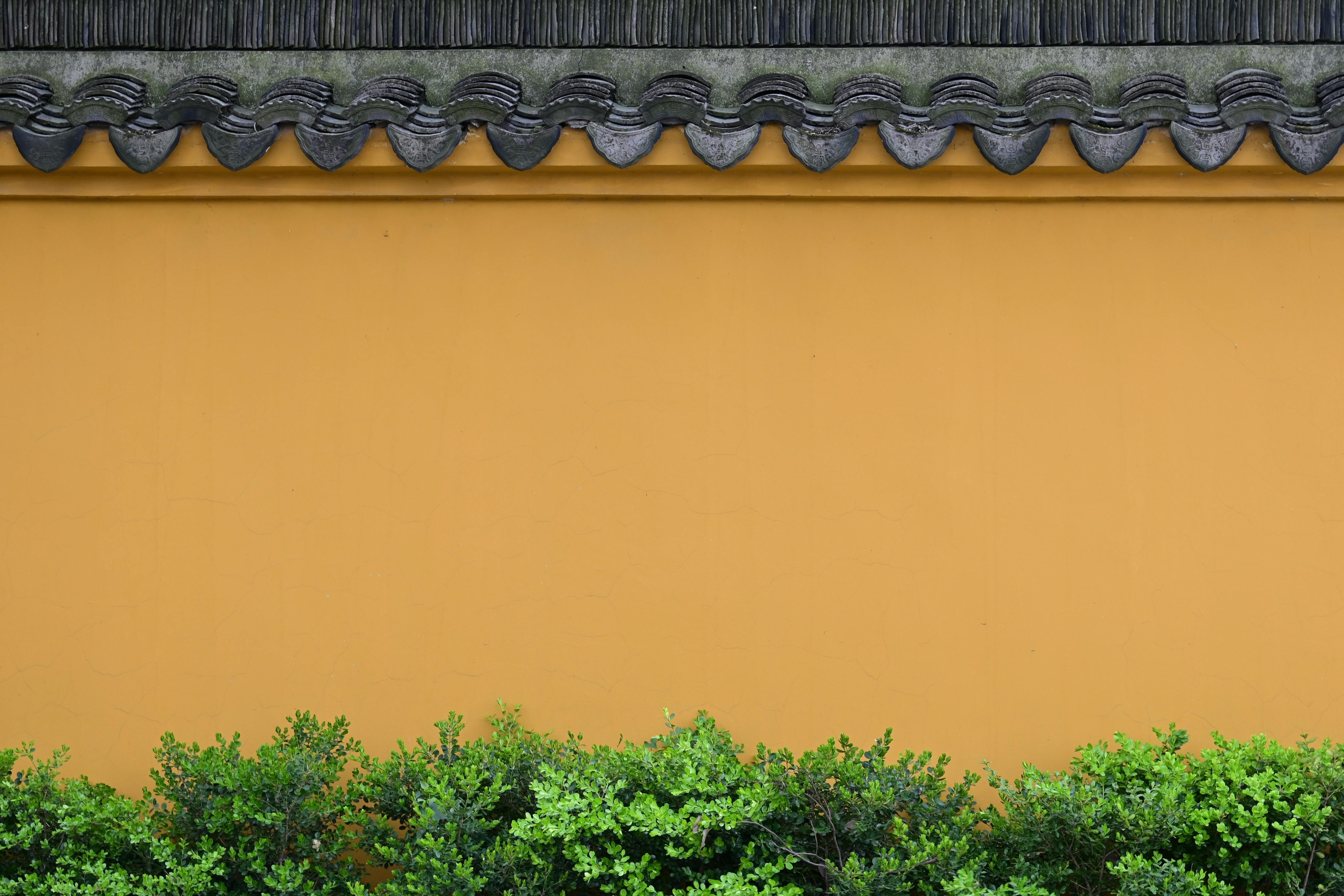 Photo of a Yellow Wall · Free Stock Photo