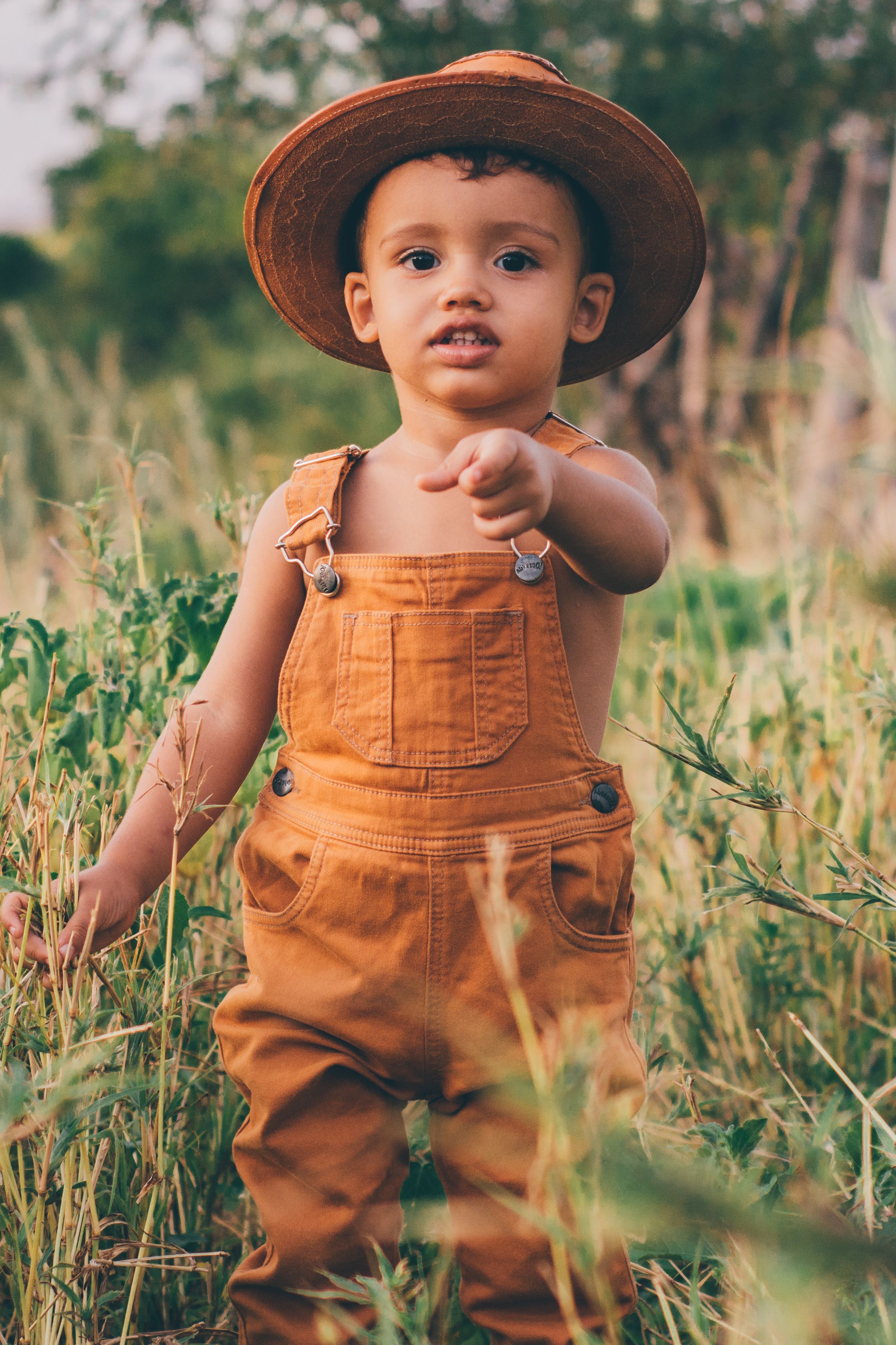 Grass Portrait Photos, Download The BEST Free Grass Portrait Stock ...