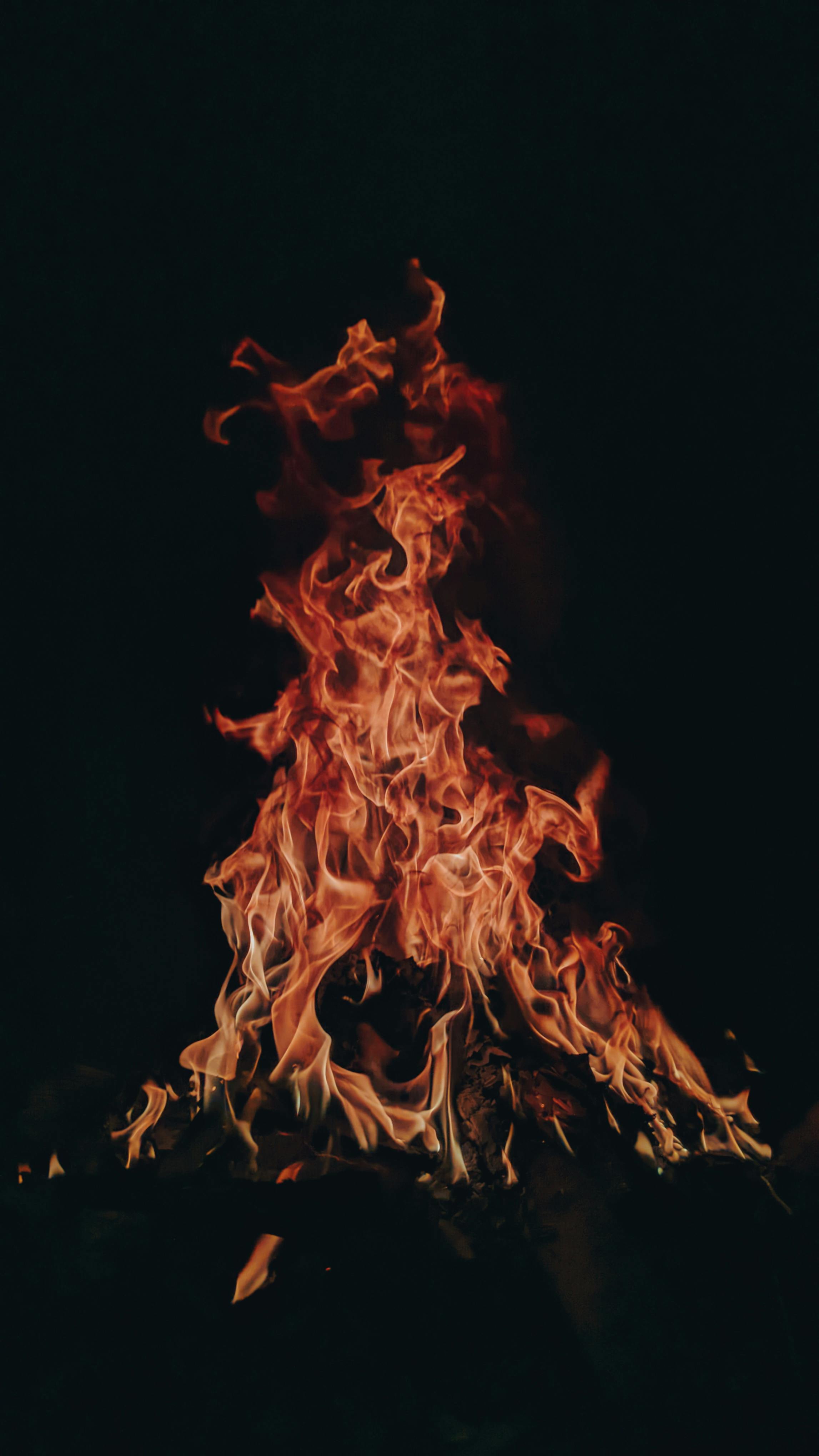 Bonfire Near Body Of Water · Free Stock Photo