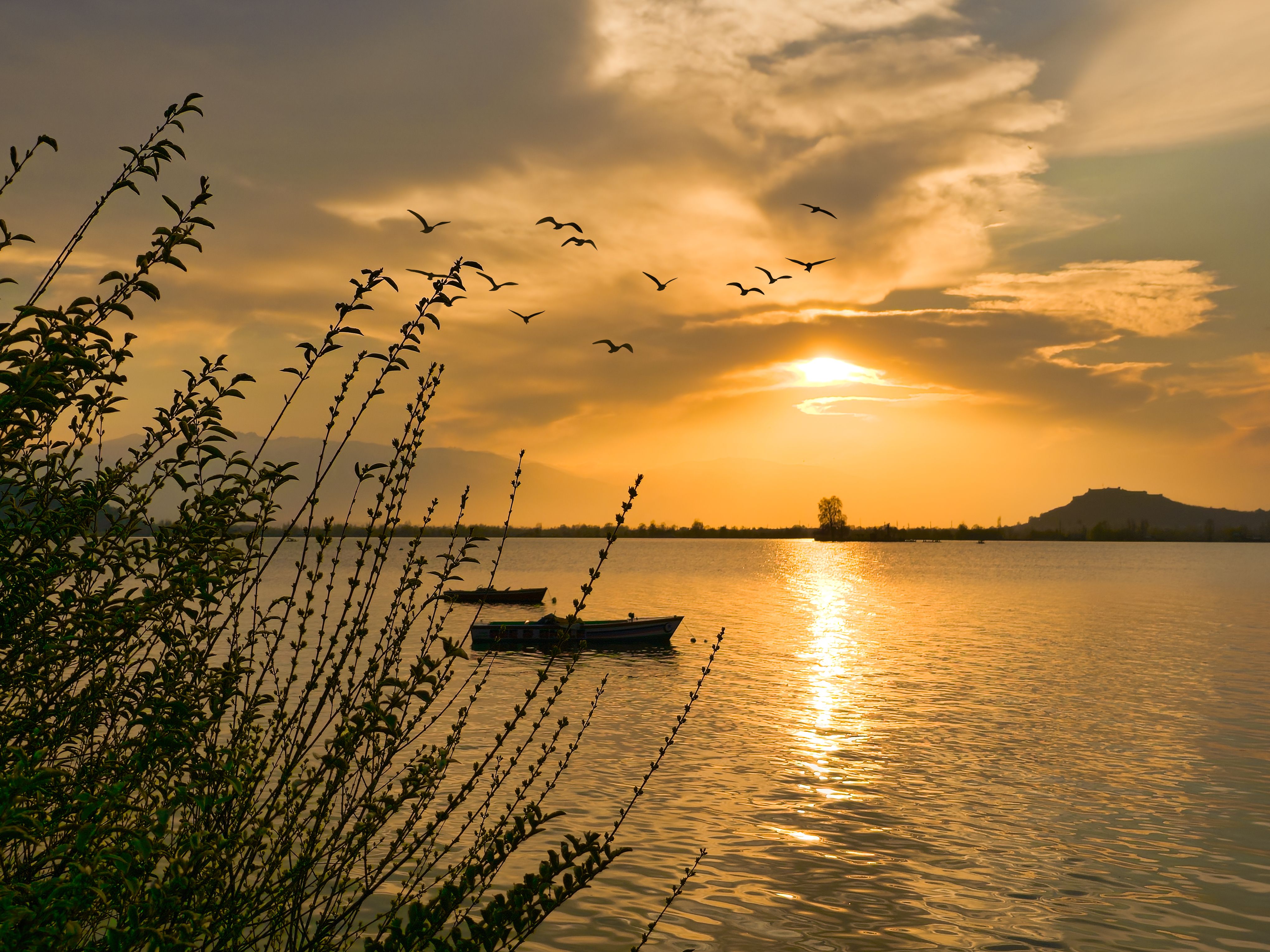 Birds Flying above Boats Left on Lake at Sunset · Free Stock Photo