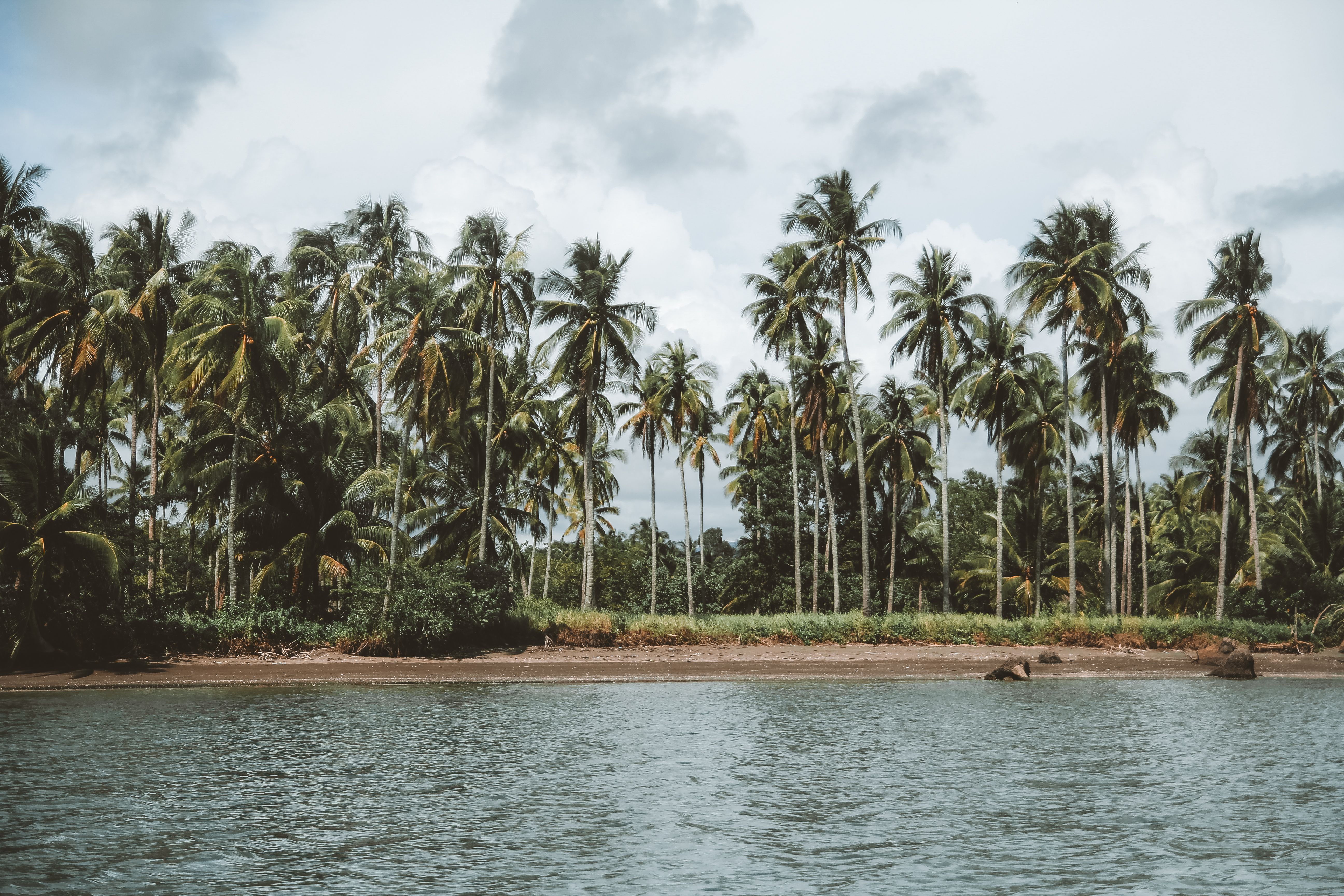 Scenic View of a Tropical Beach · Free Stock Photo