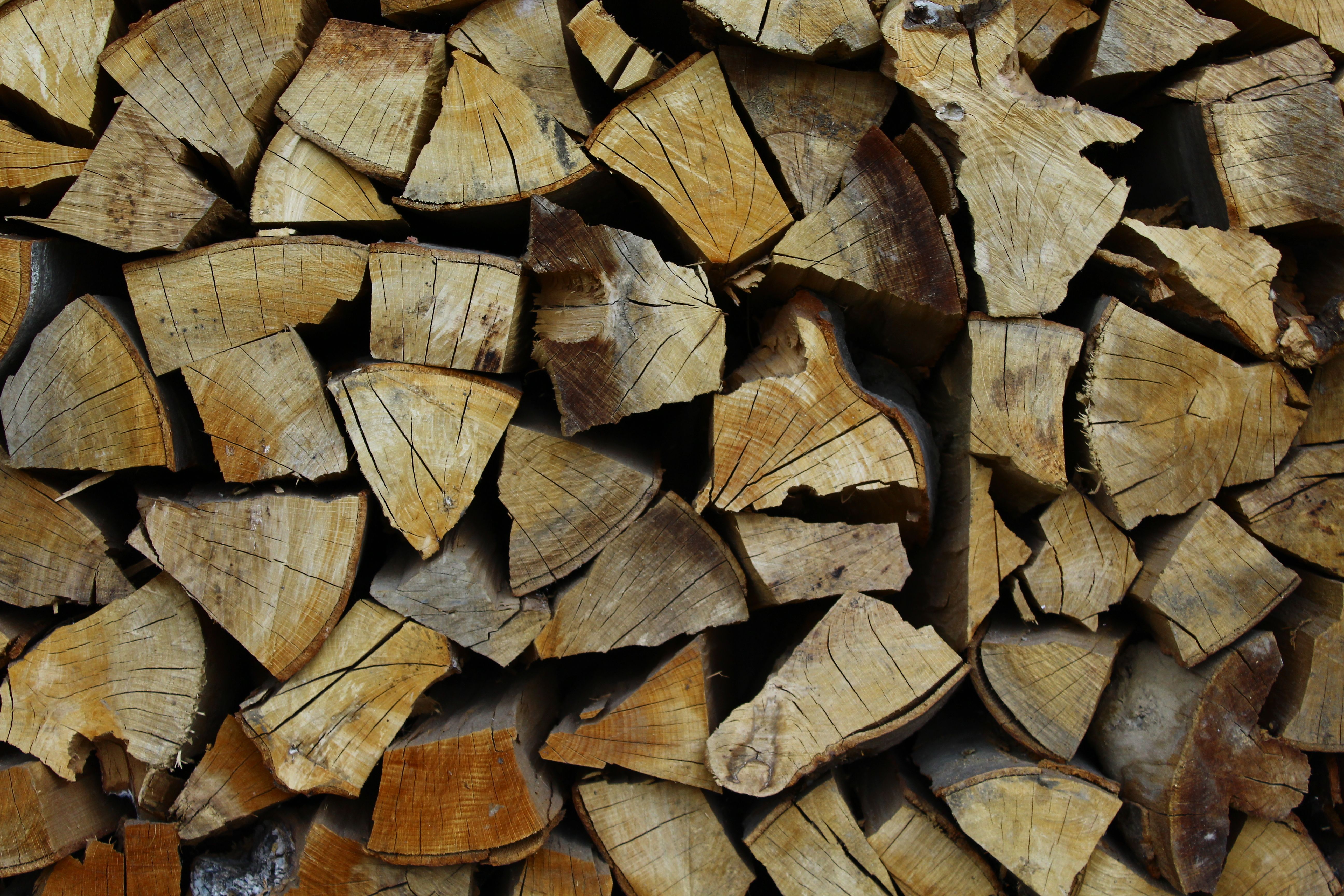 Close-up of a Pile of Chopped Wood · Free Stock Photo