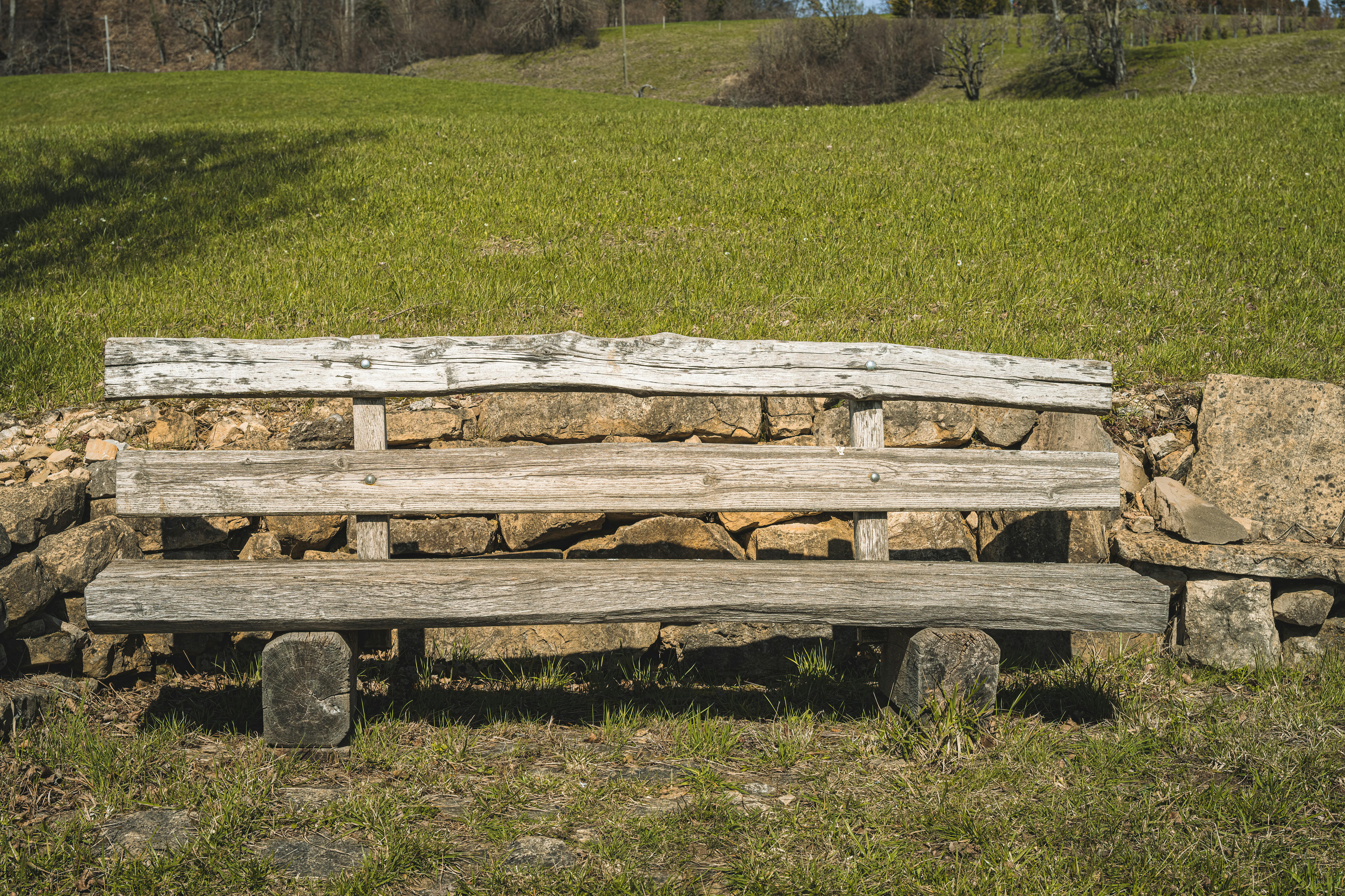 Old Wooden Bench in a Park · Free Stock Photo
