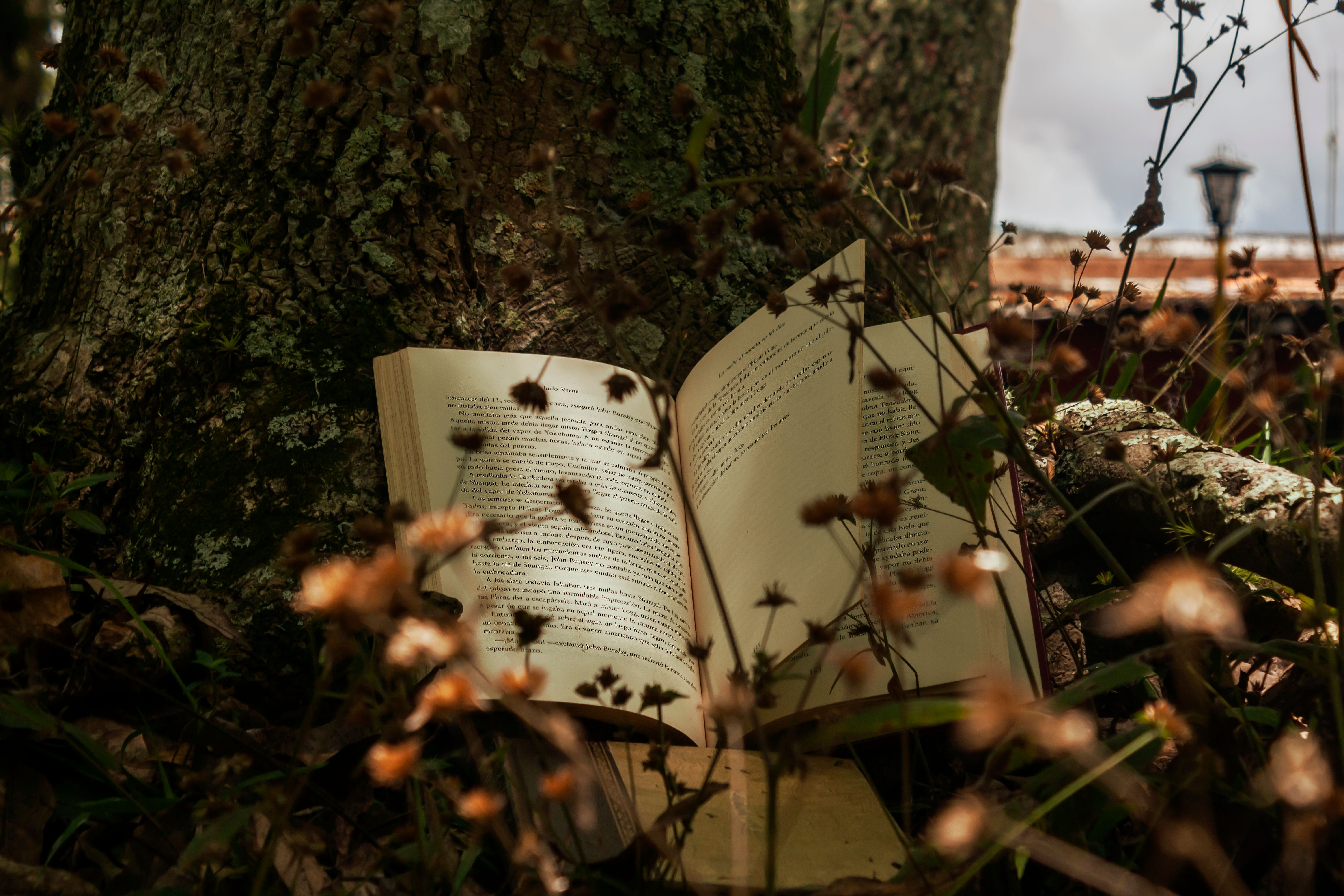 Metal Still Life Photos, Download The BEST Free Metal Still Life Stock ...
