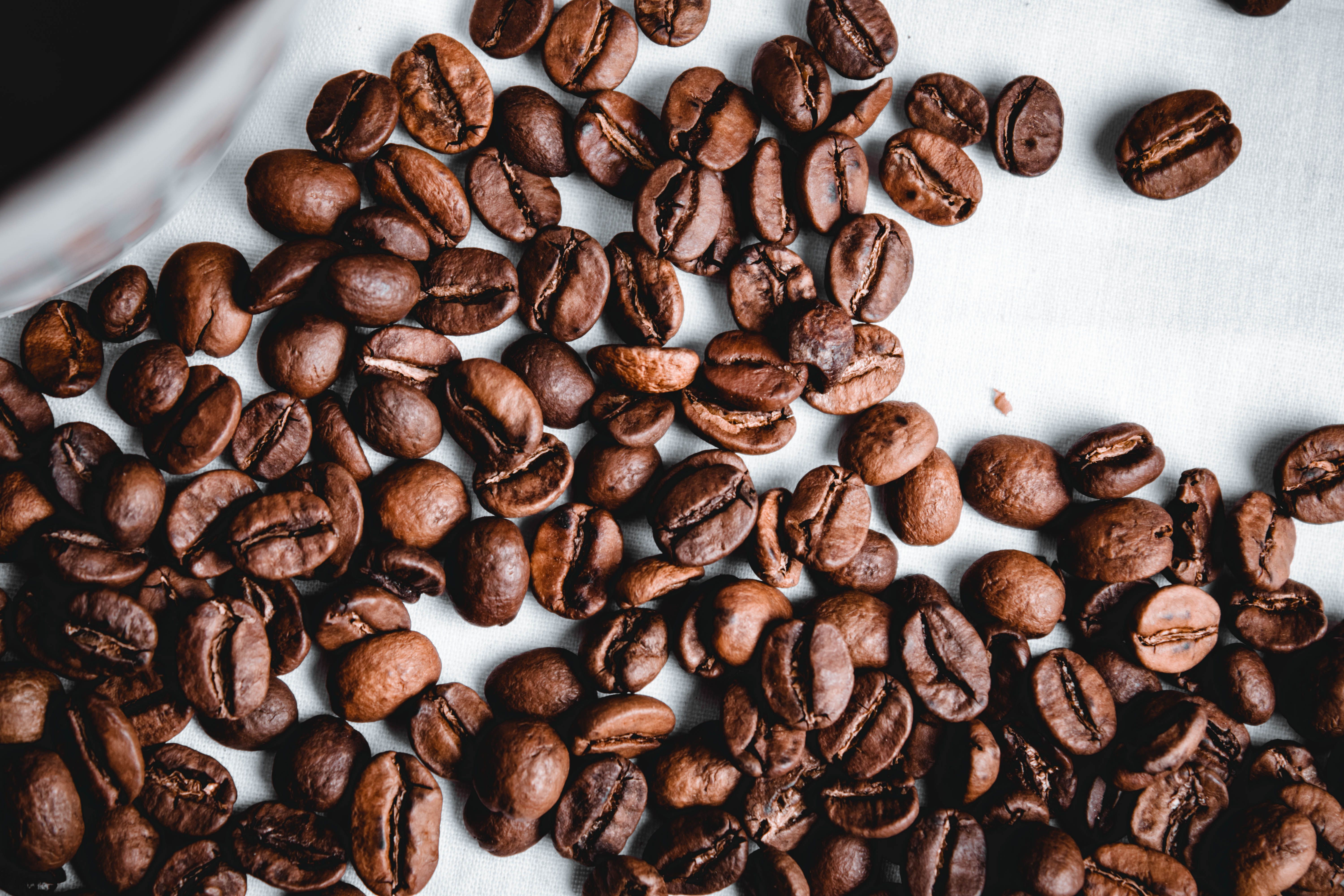 Close up of Coffee Beans · Free Stock Photo
