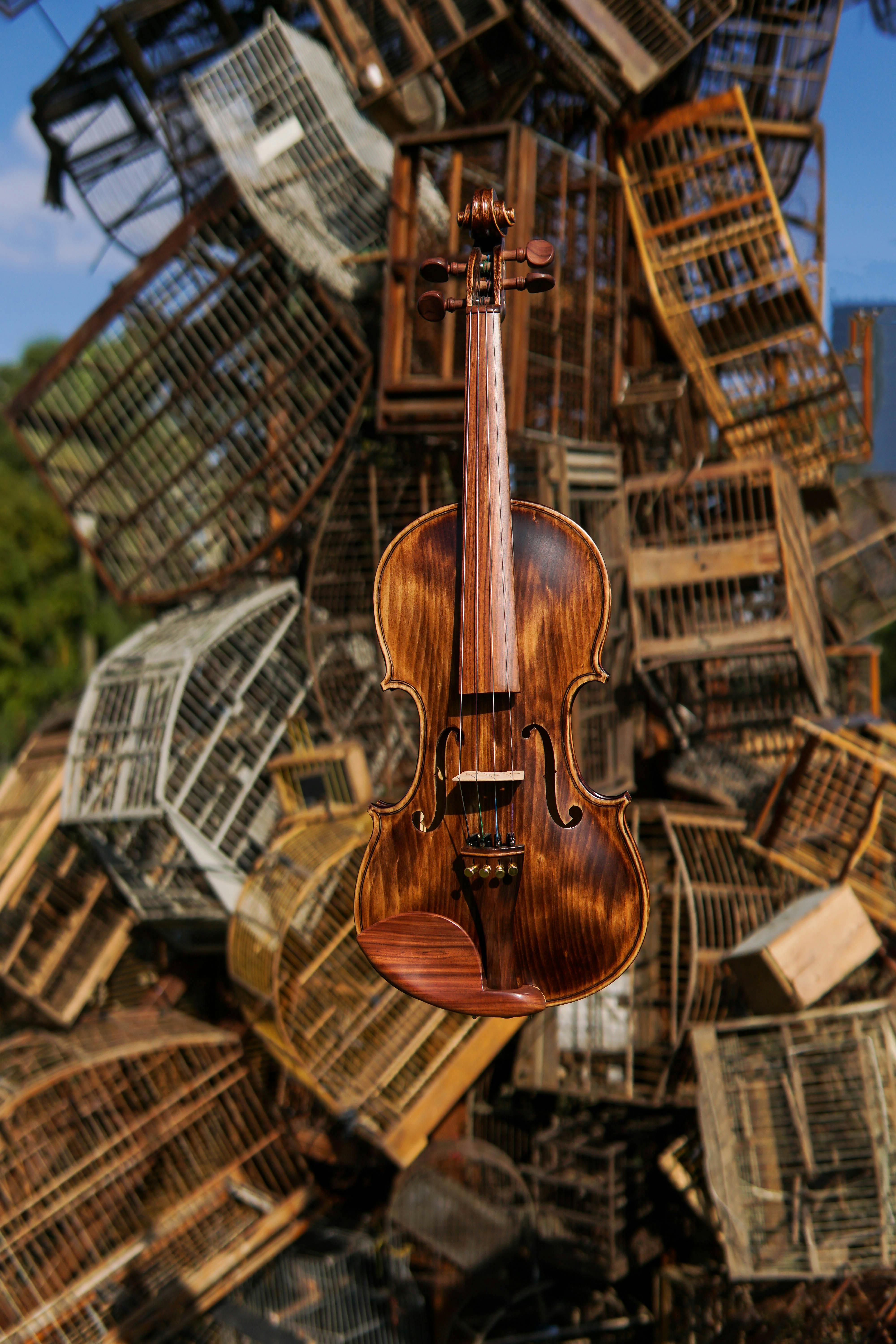 Fiddle Photos, Download The BEST Free Fiddle Stock Photos & HD Images