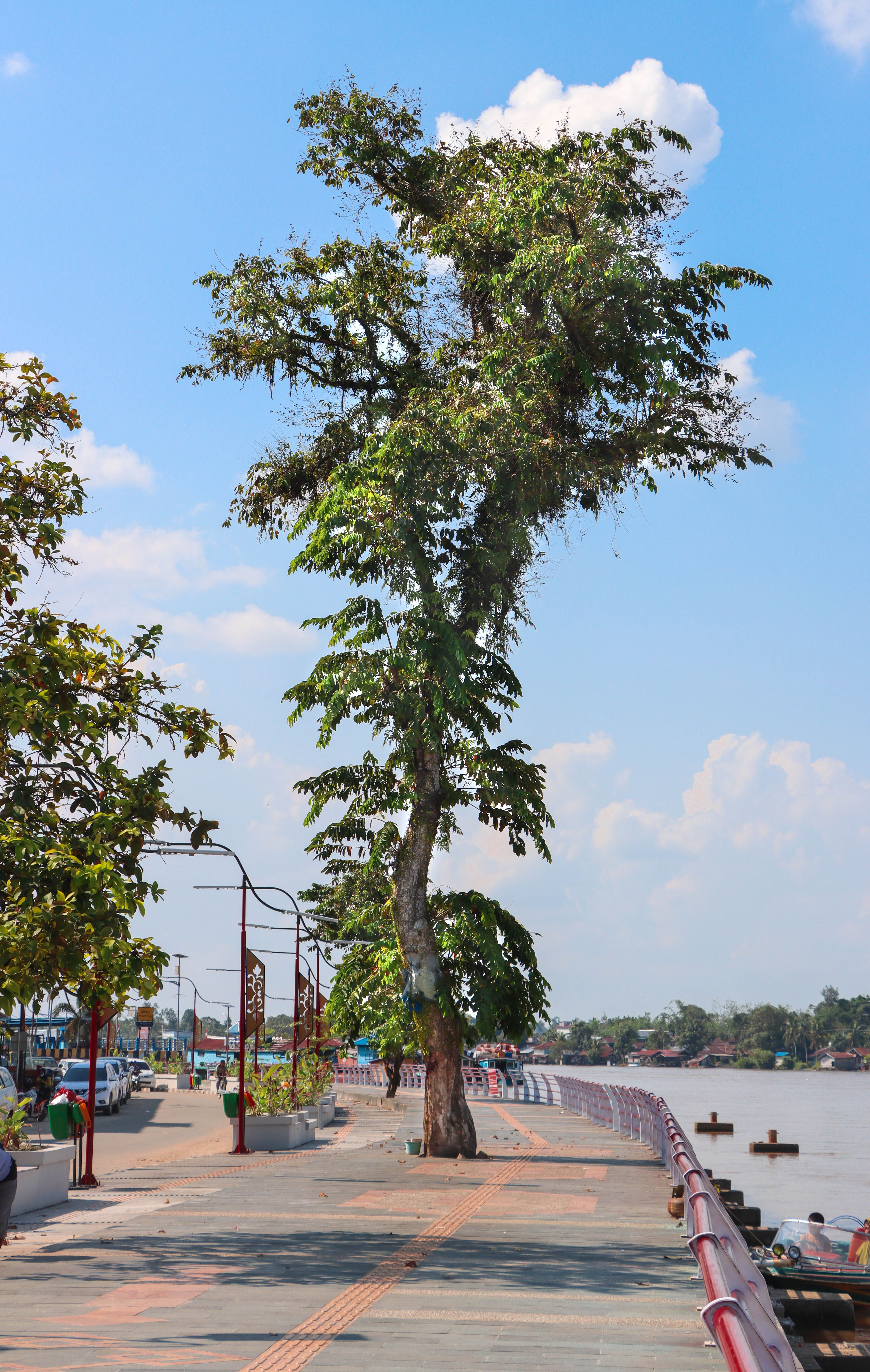 A Sidewalk along the River in City in Summer · Free Stock Photo
