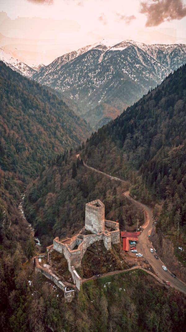 Medieval Forest Photos, Download The BEST Free Medieval Forest Stock ...