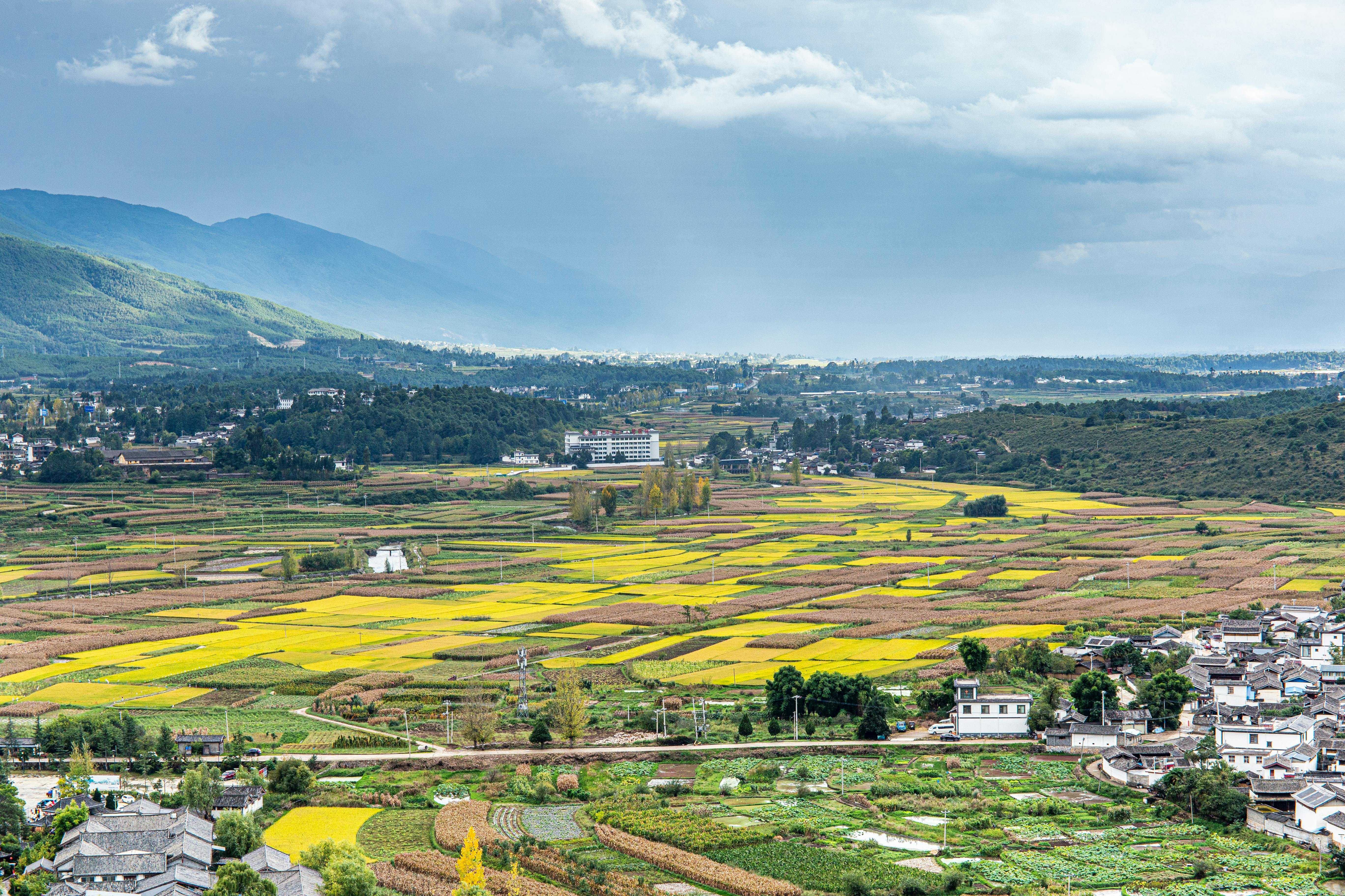 Peripheral Town Photos, Download The BEST Free Peripheral Town Stock ...