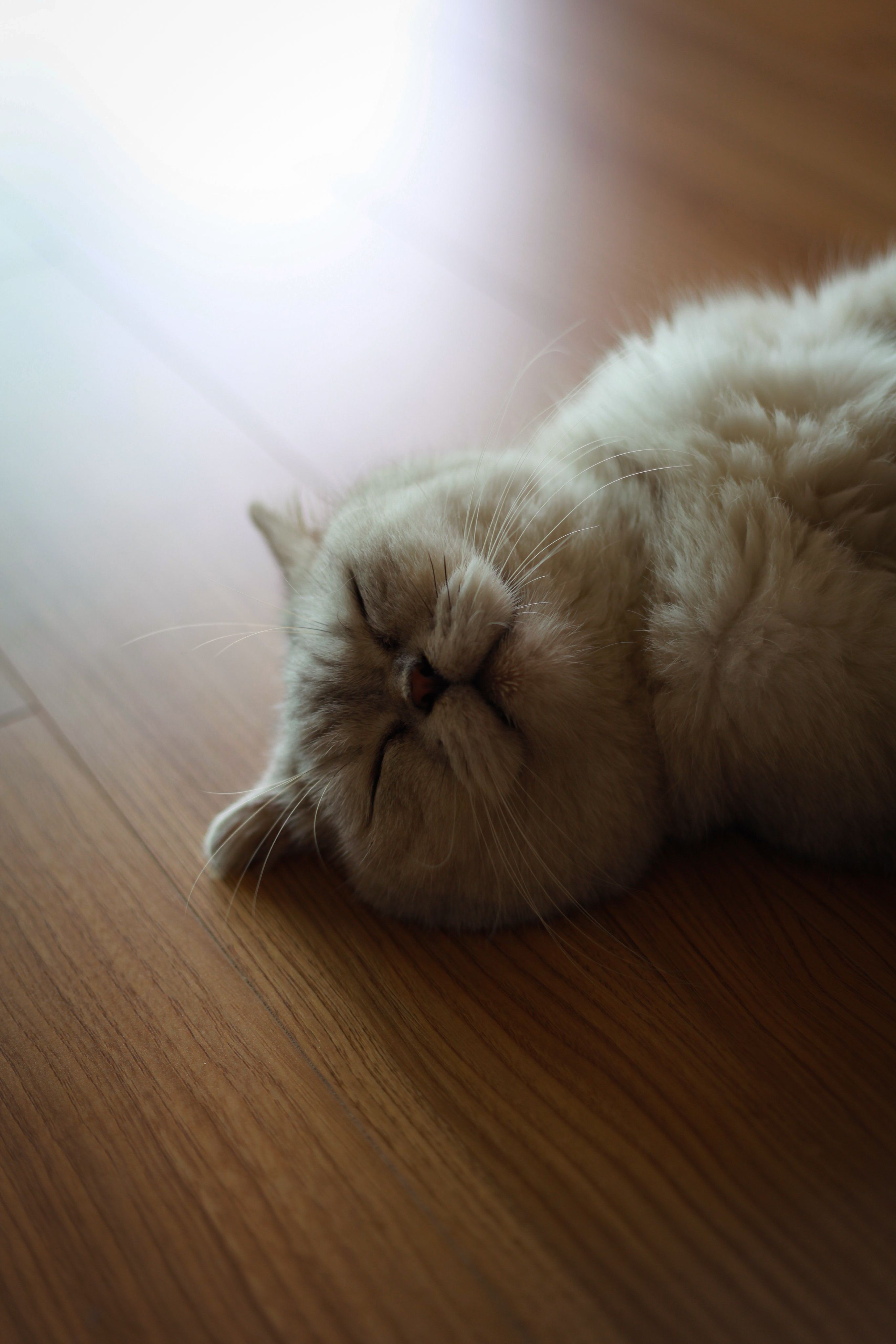 100.000+ ảnh đẹp nhất về Cute Laptop Wallpaper · Tải xuống miễn phí 100 ...