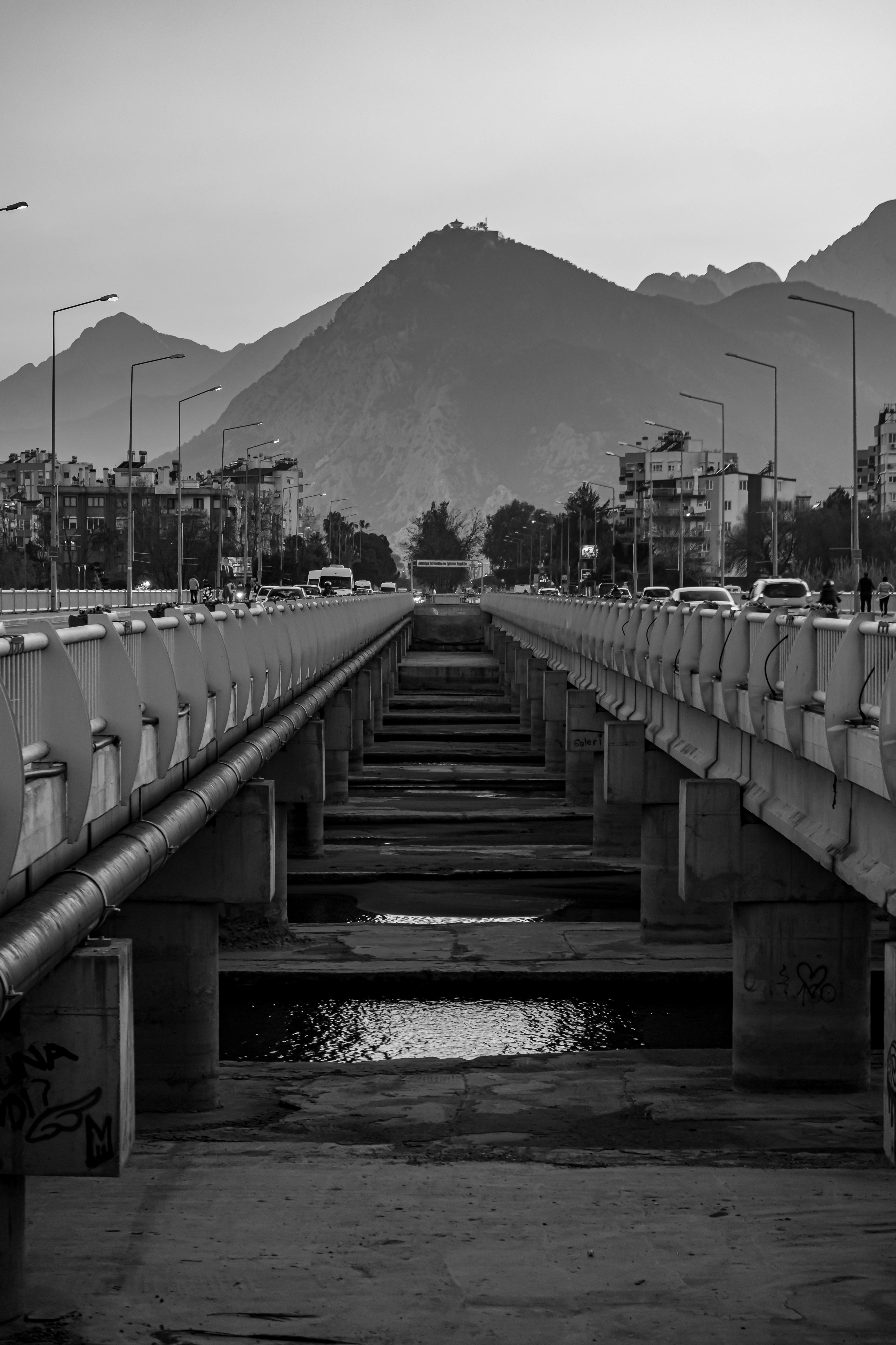 Wooden Path by the River in Black and White 路 Free Stock Photo Wooden Path by the River in Black and White 路 Free Stock Photo
