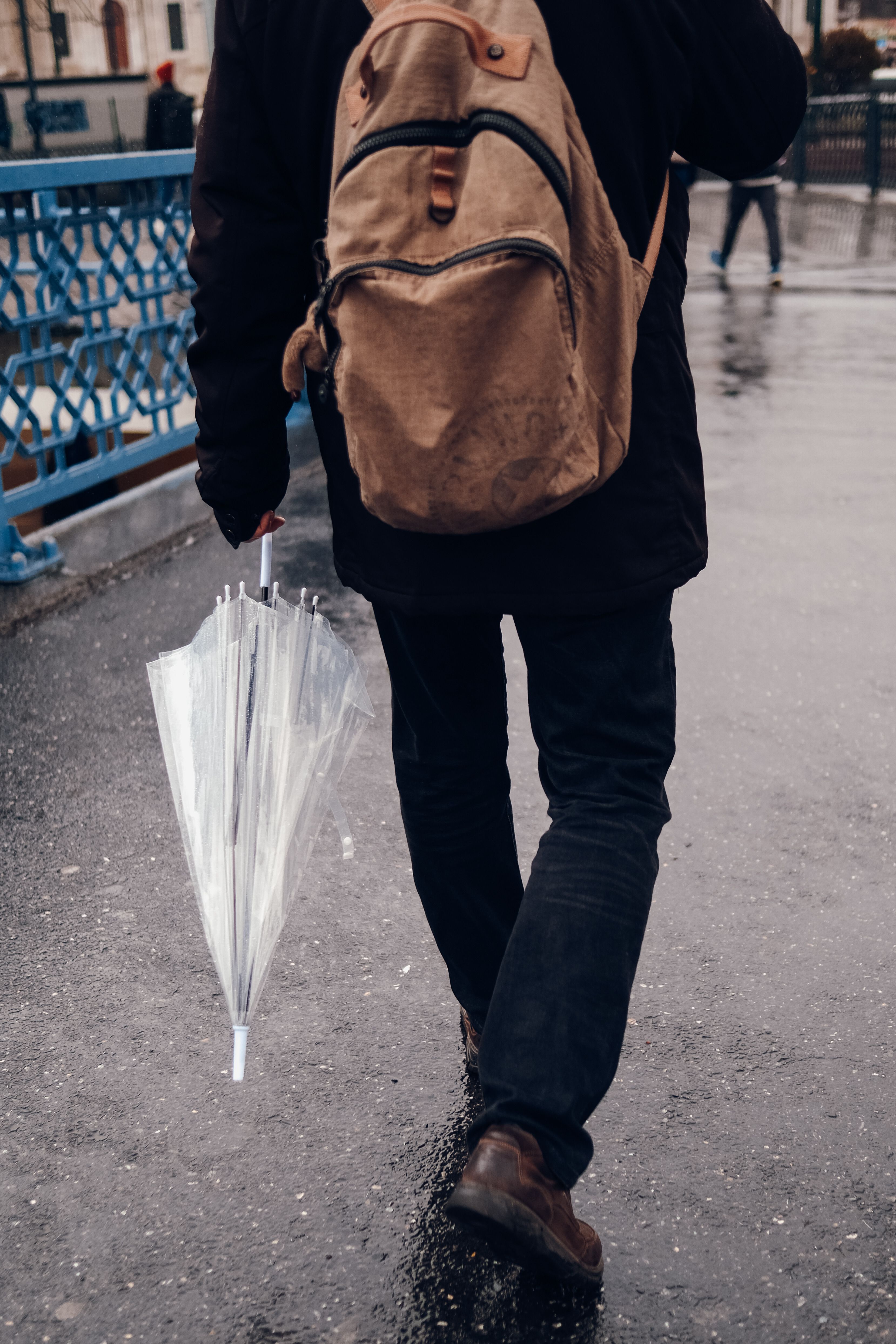 Person Carrying Transparent Umbrella · Free Stock Photo