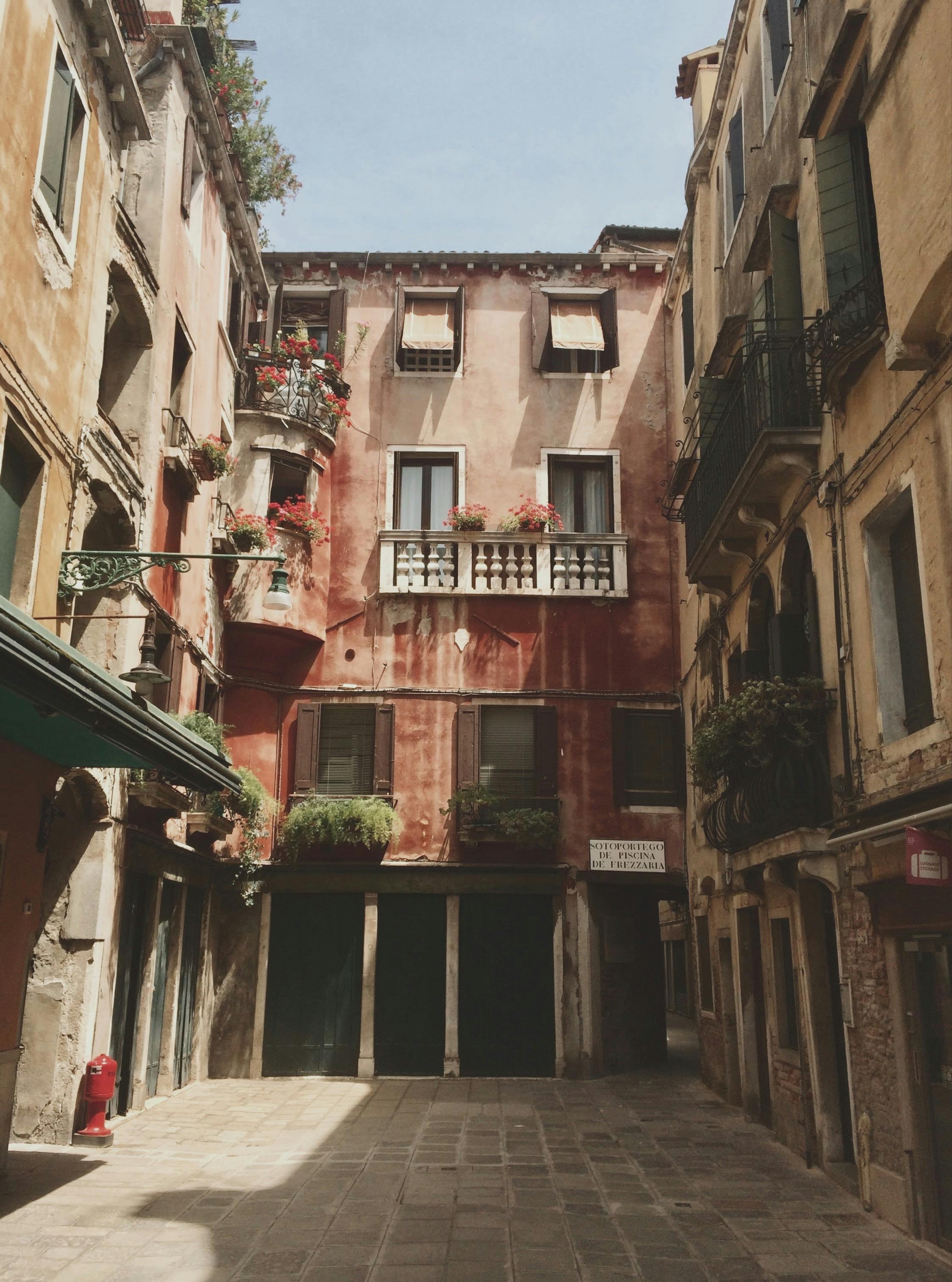 Pavement among Trees near Street in Town · Free Stock Photo