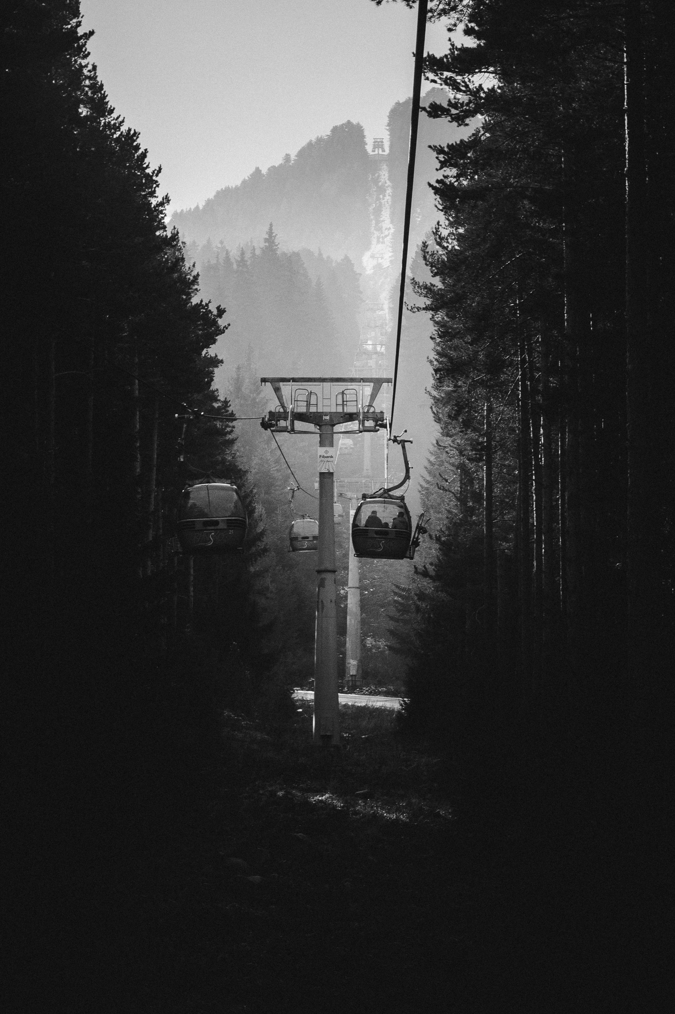 Cable Car in Forest in Black and White · Free Stock Photo