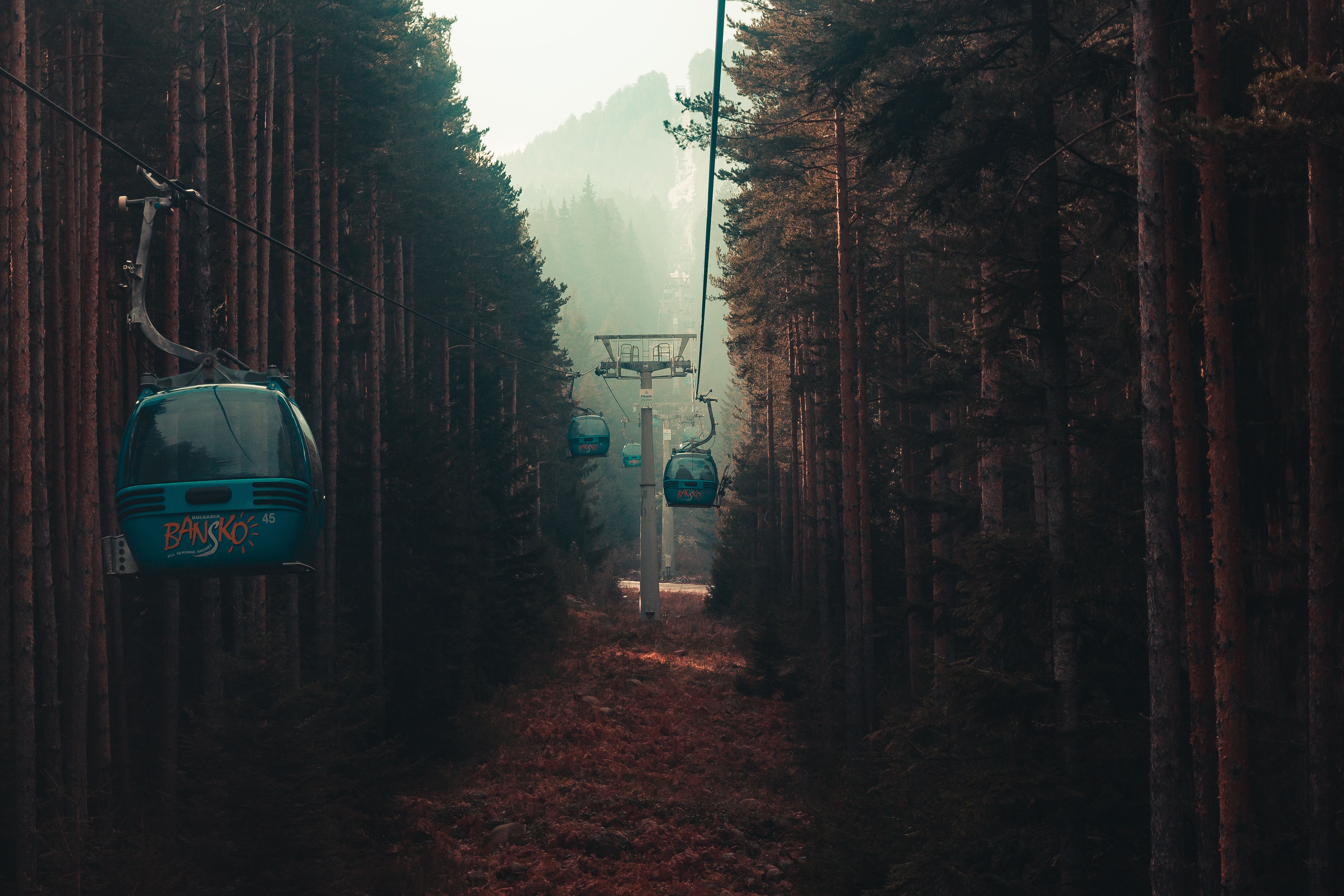 Cable Car in Forest · Free Stock Photo