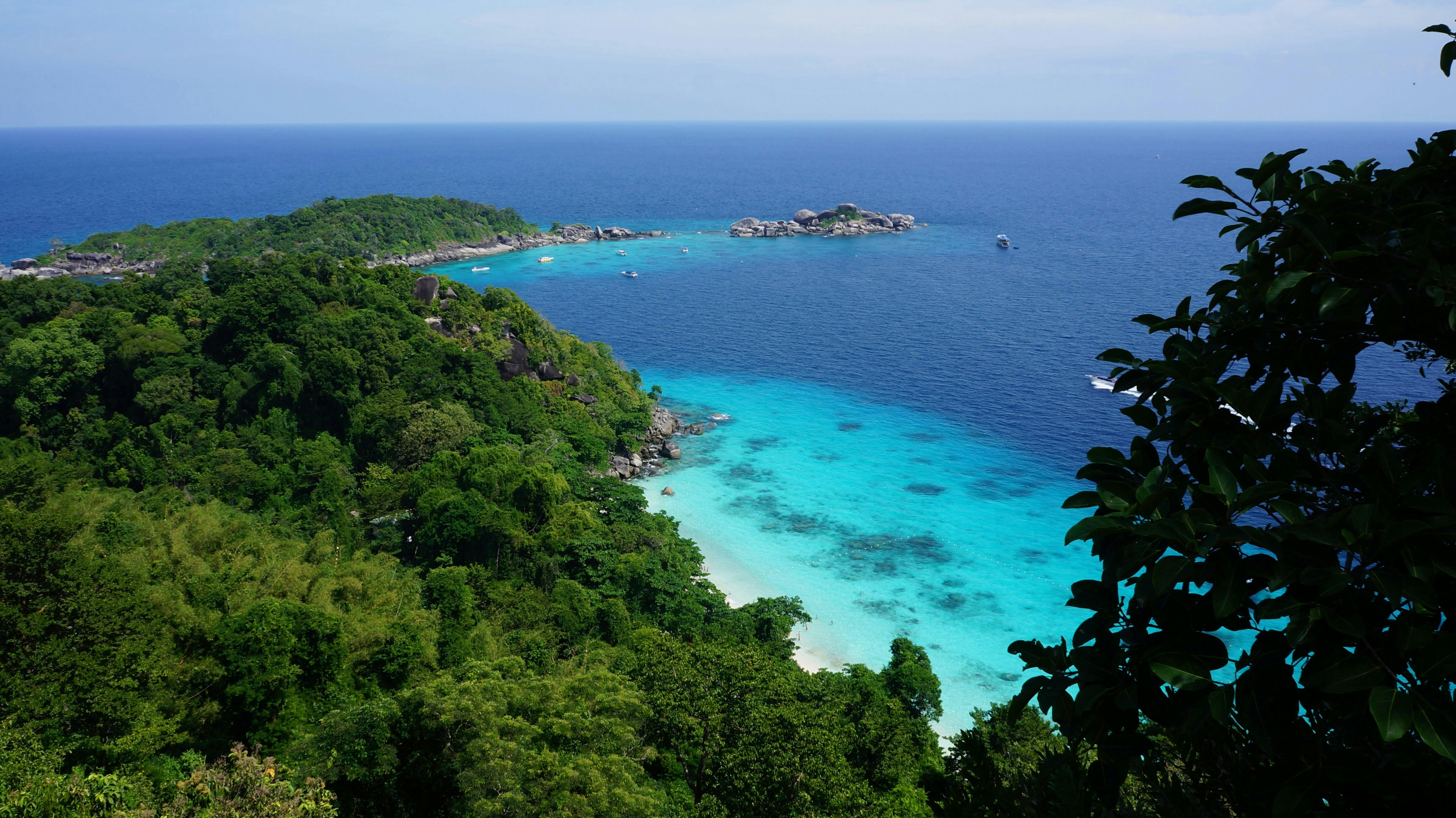 Forest on Sea Shore · Free Stock Photo