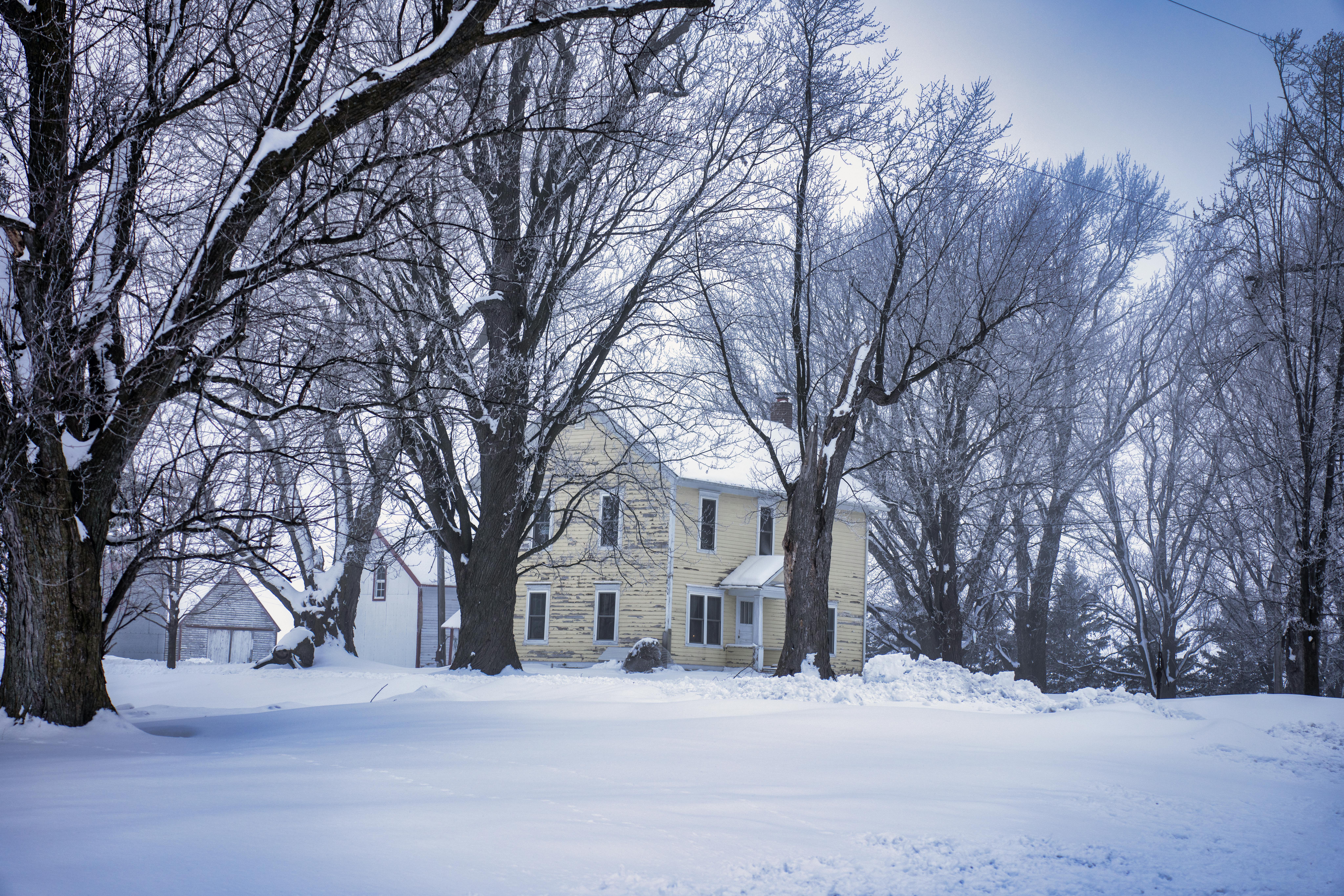 Houses in Winter · Free Stock Photo