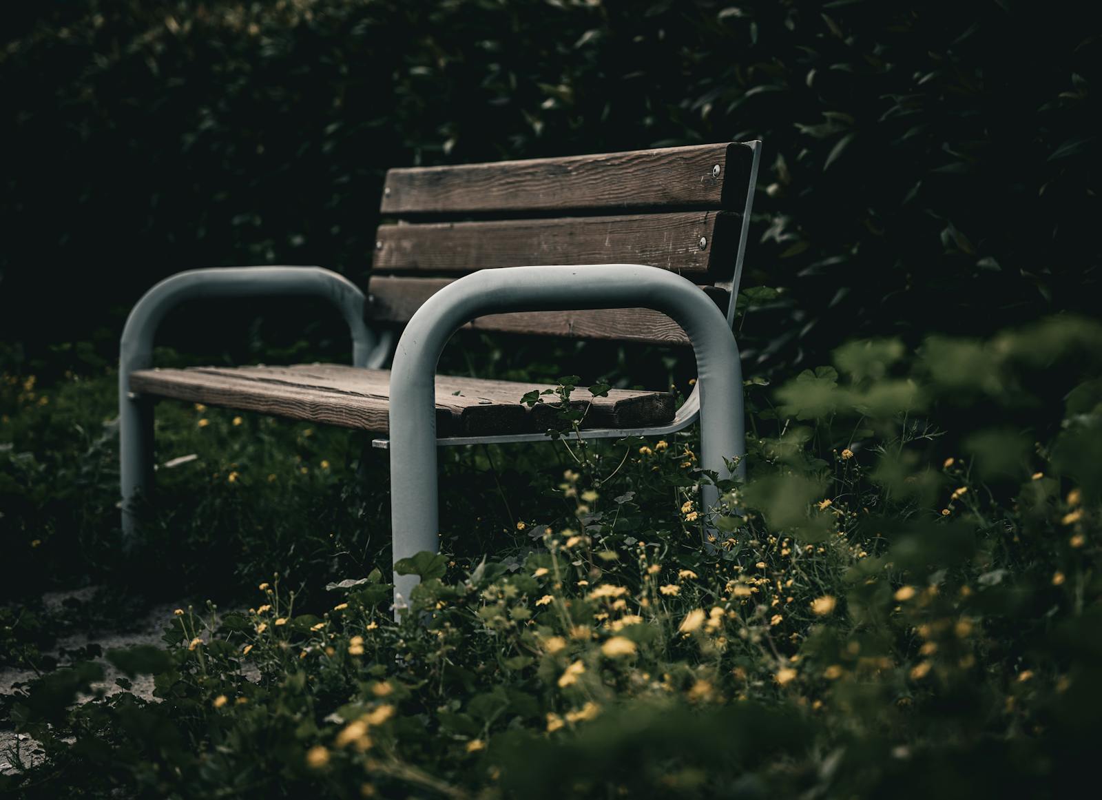 Free Download 1 Mb Jpg Images Photos, Download The BEST Free Free ...