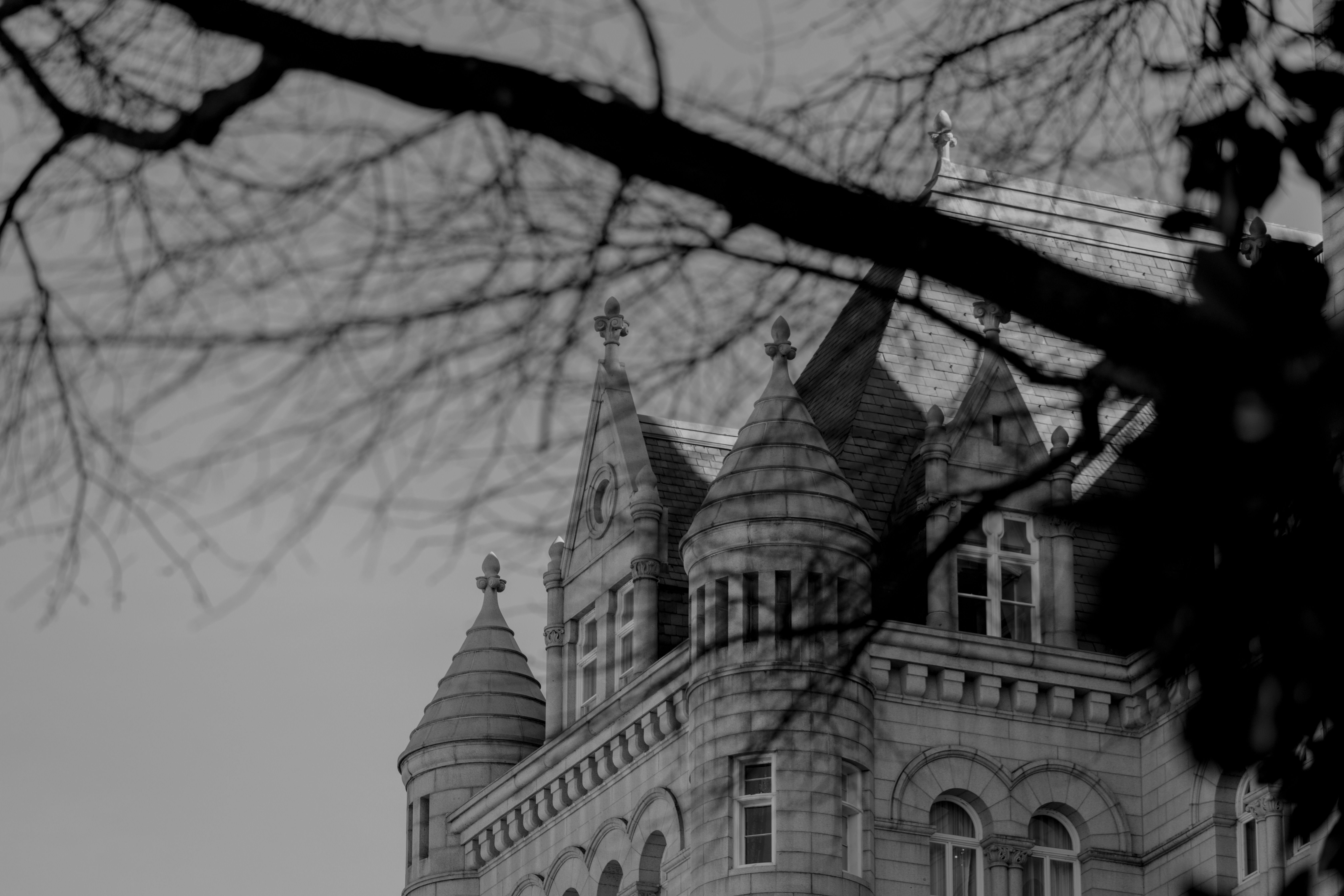 Branch and Castle behind in Black and White · Free Stock Photo