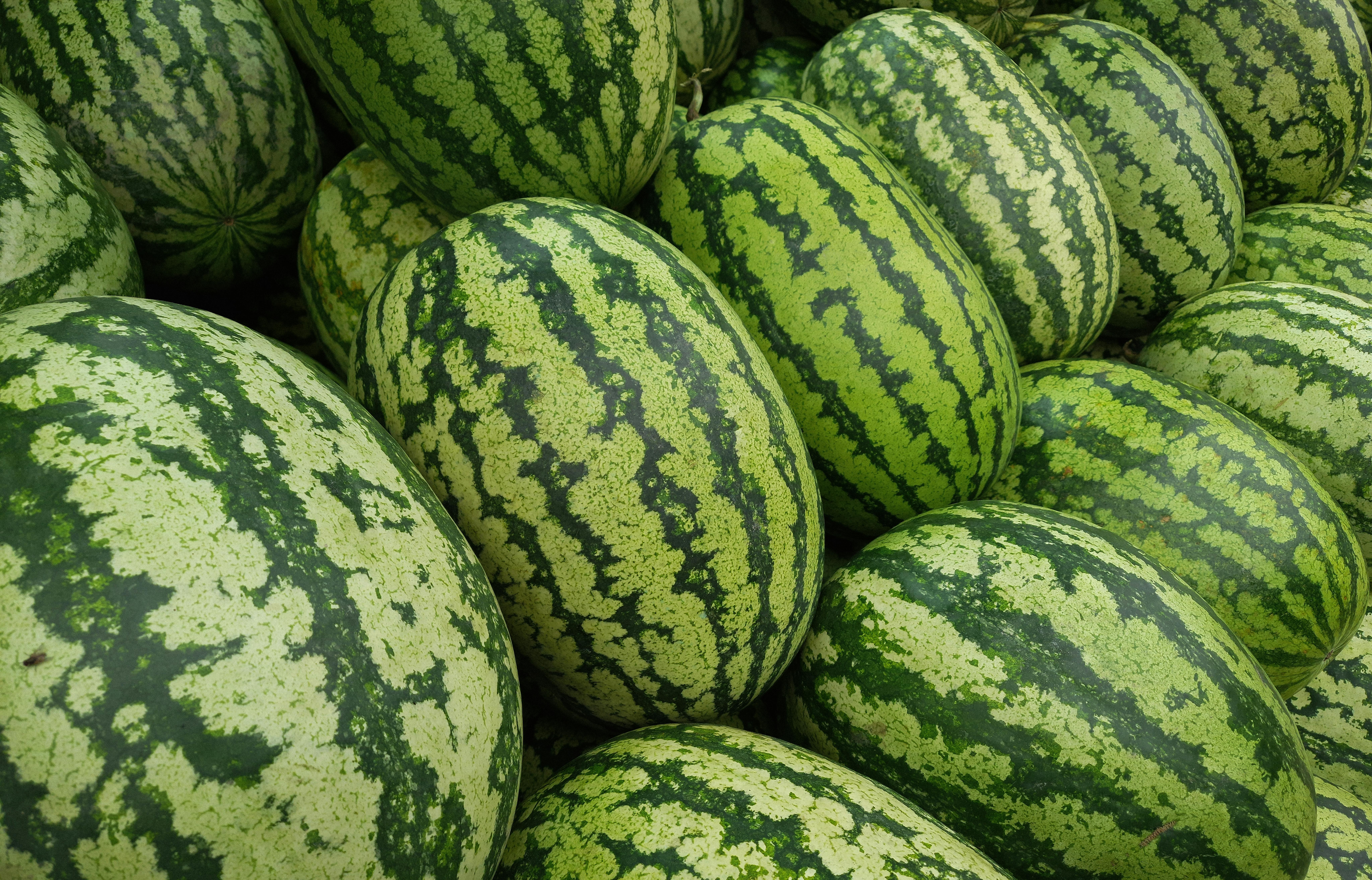 Closeup view of watermelons · Free Stock Photo