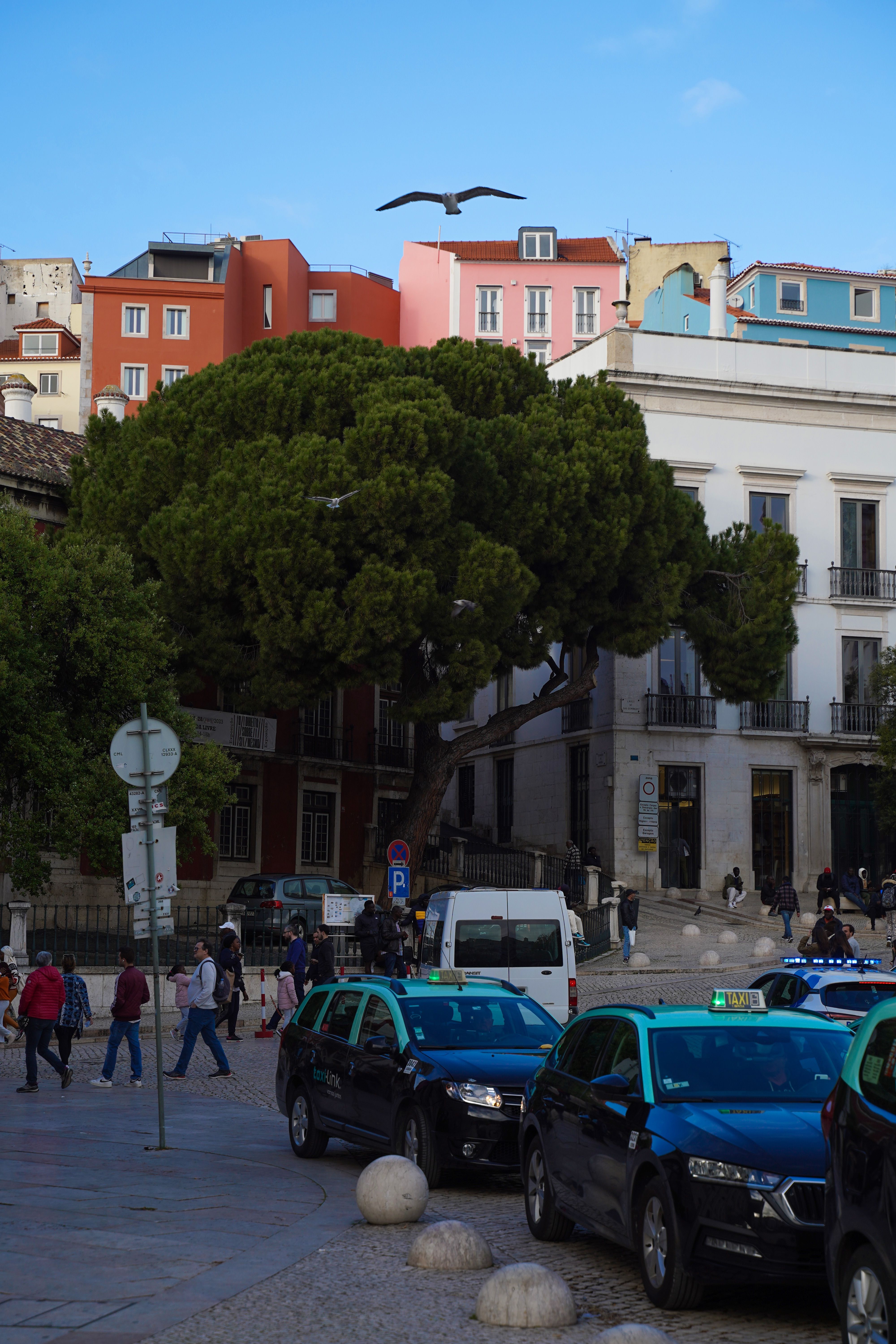 Taxis in City · Free Stock Photo