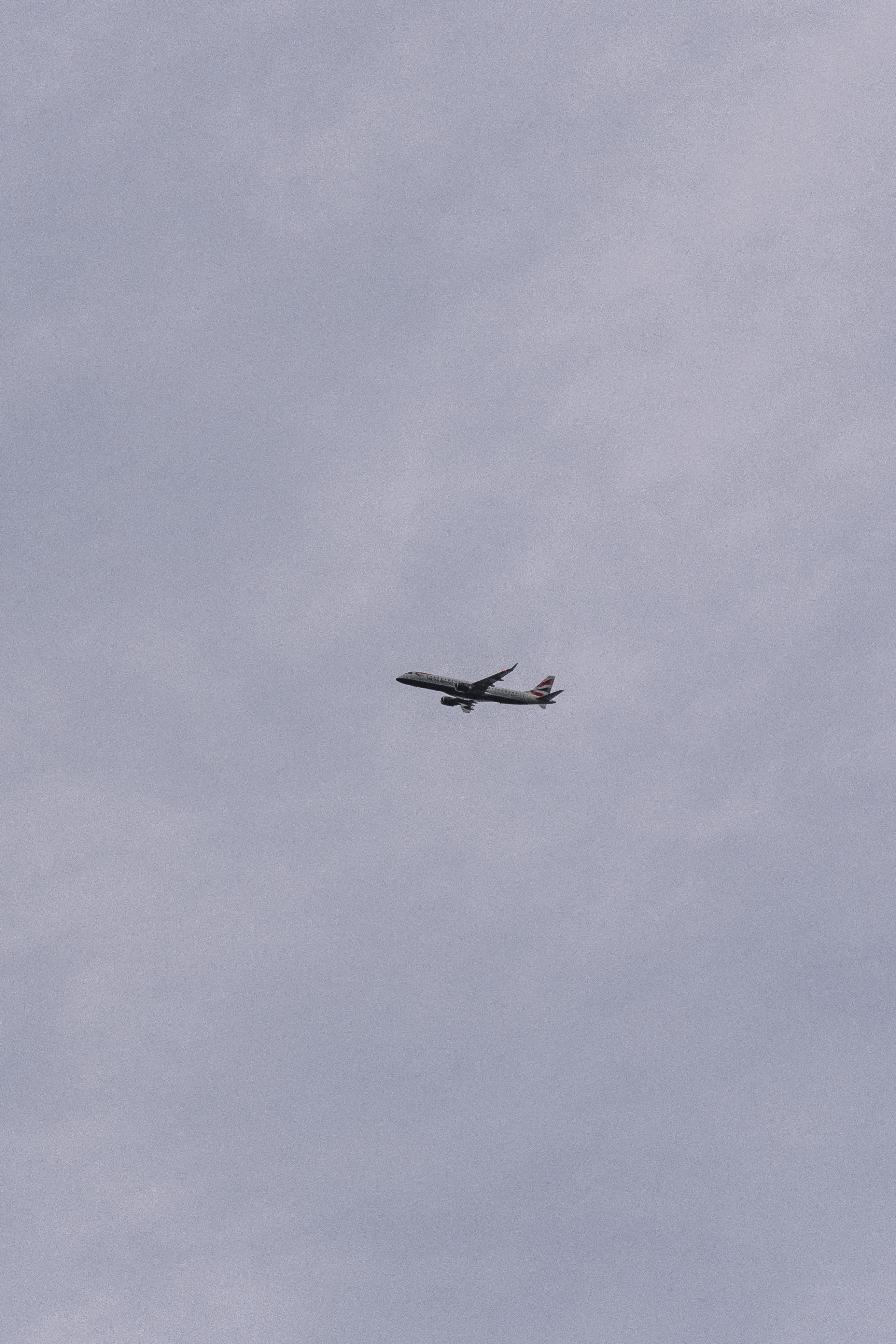 Airplane during Flight · Free Stock Photo