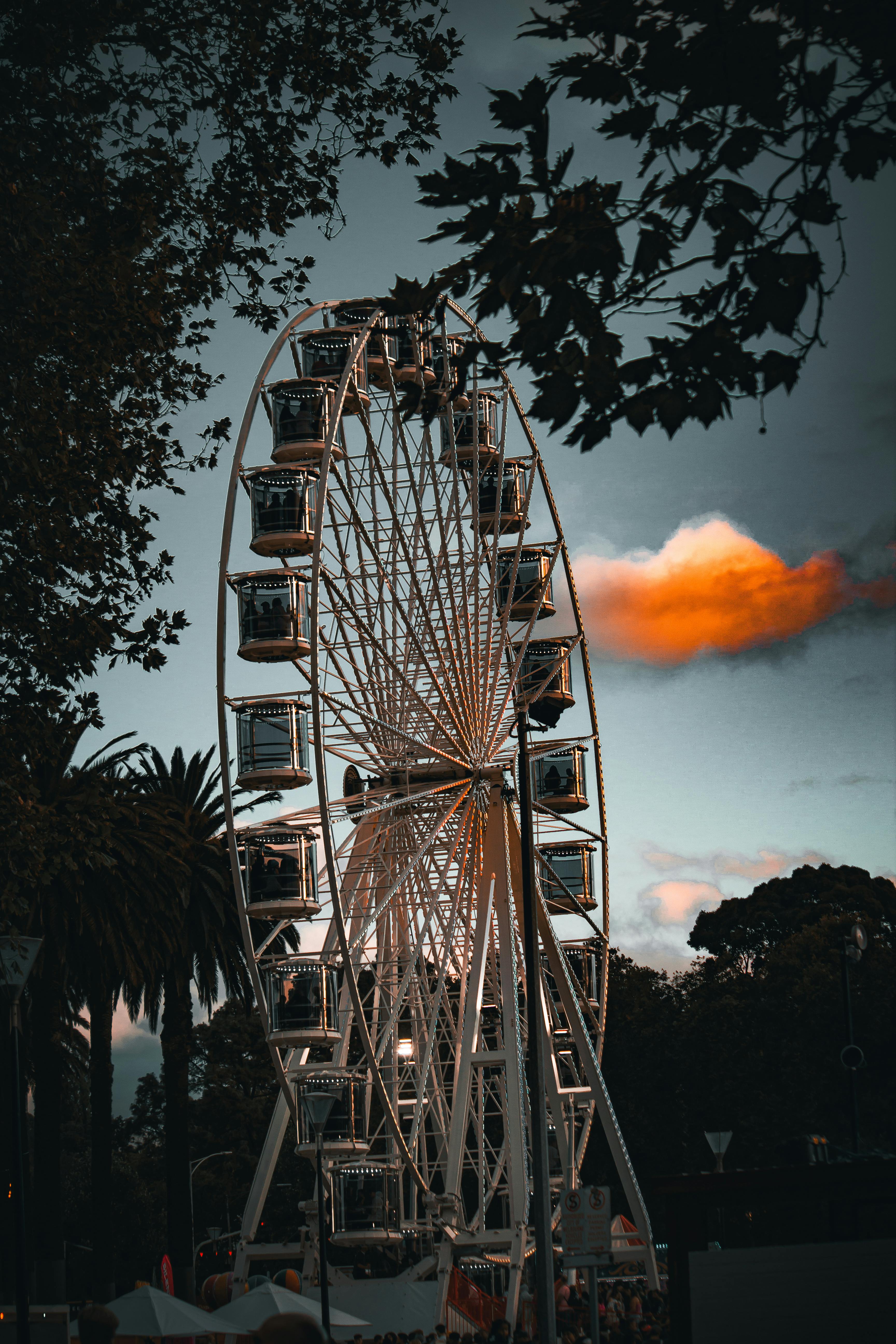 Project 30 9 Photos & Videos Collected by Kevin Hy