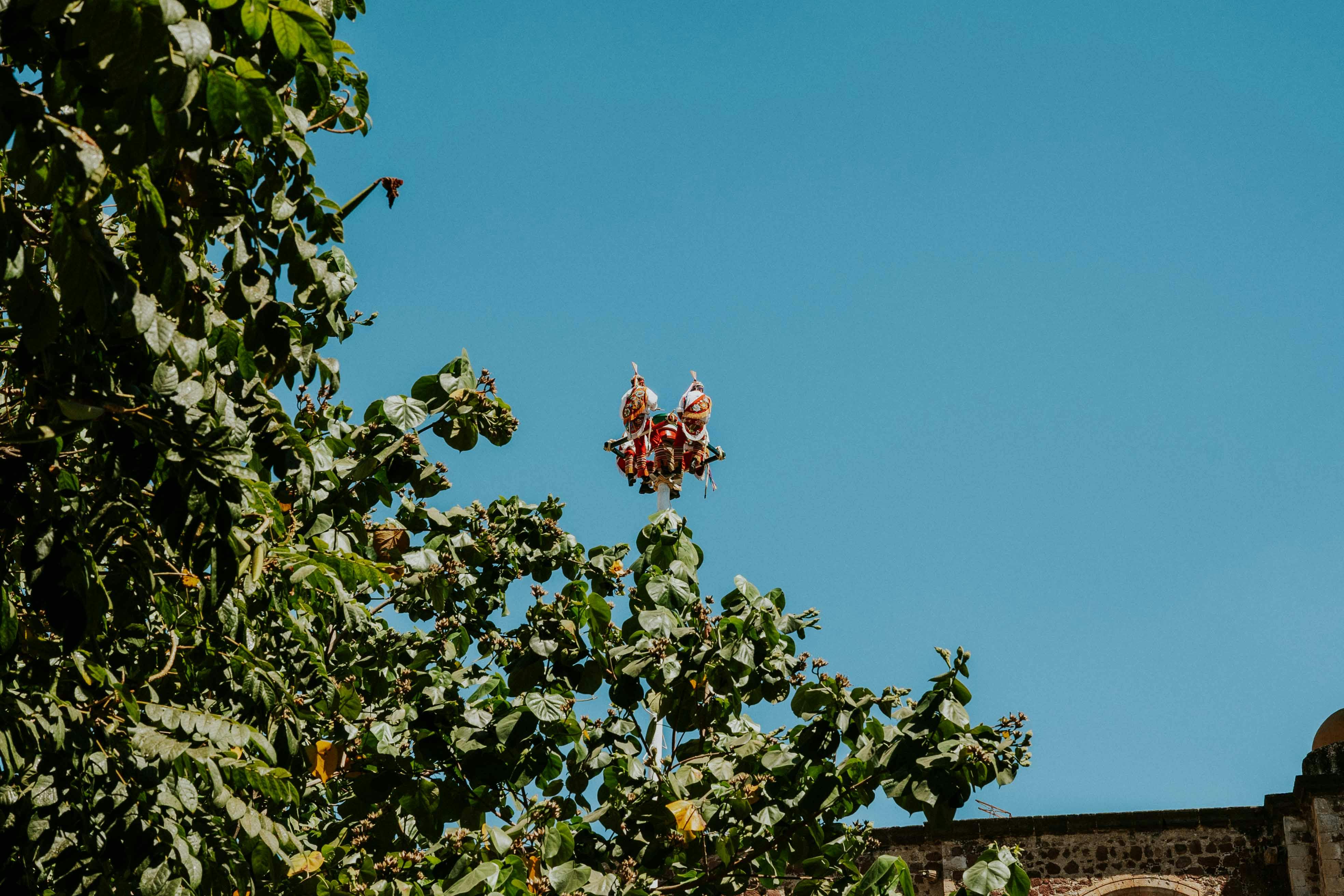 Flyers Photos, Download The BEST Free Flyers Stock Photos & HD Images