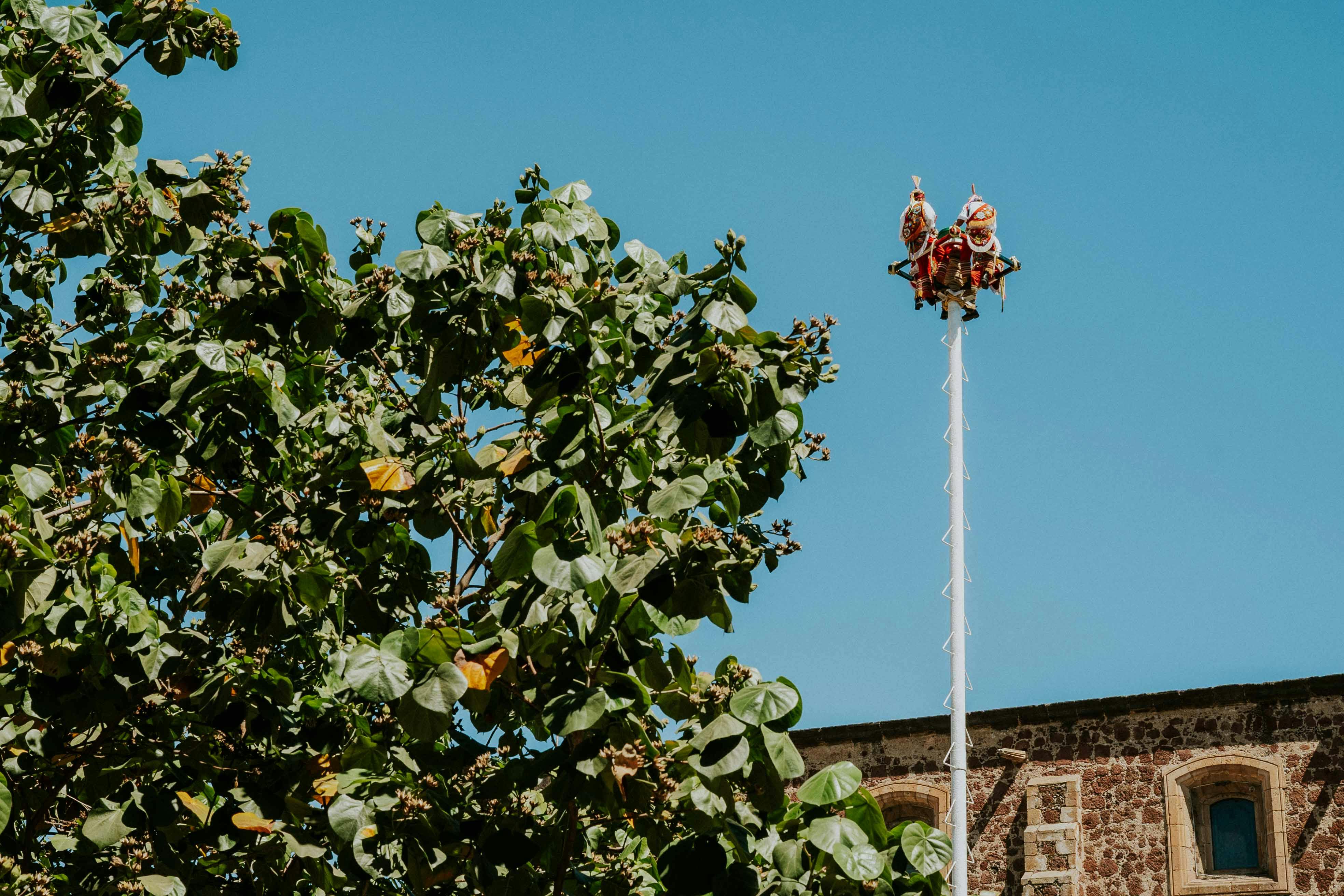 Voladores Photos, Download The BEST Free Voladores Stock Photos & HD Images