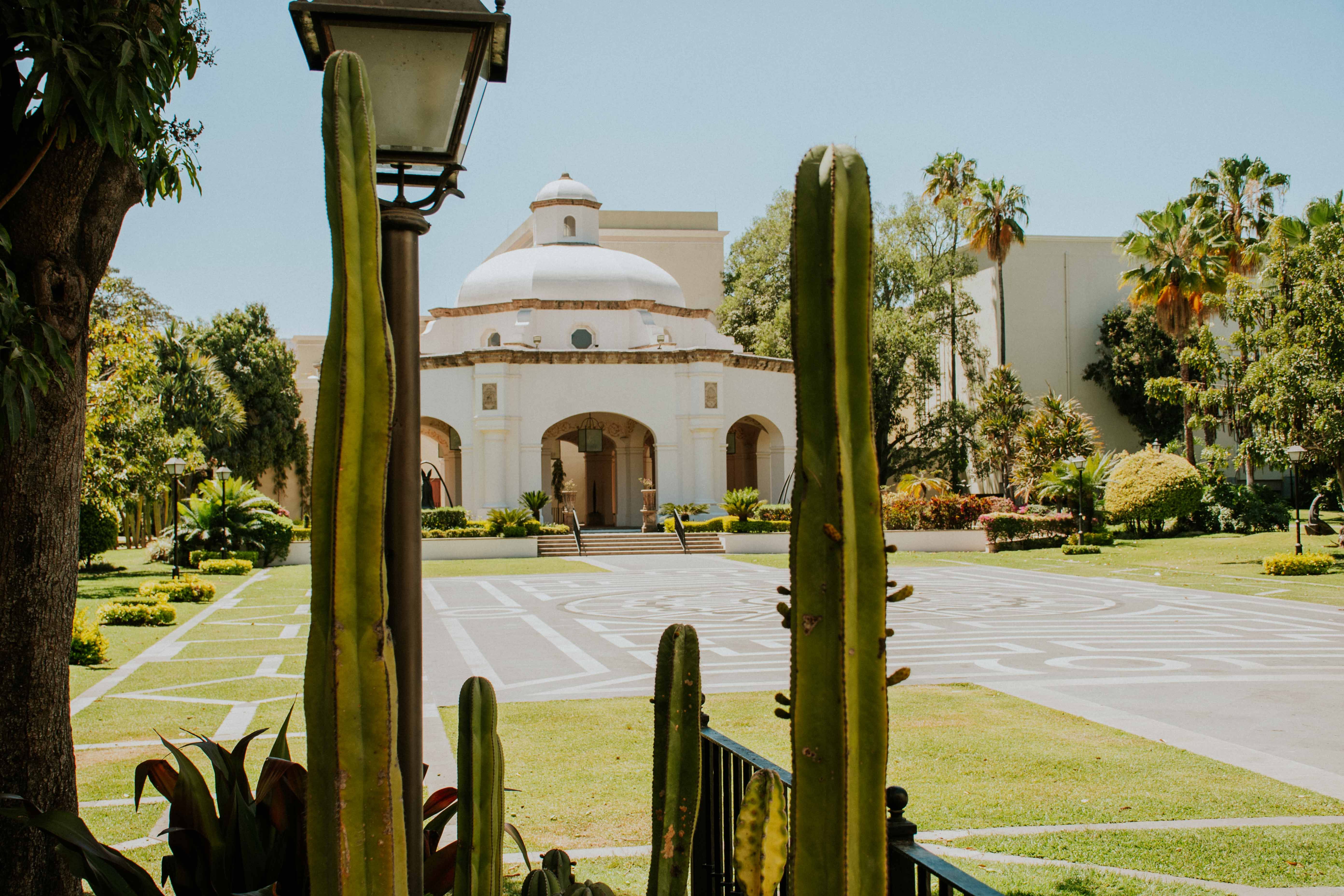 Gos Volador Photos, Download The BEST Free Gos Volador Stock Photos ...