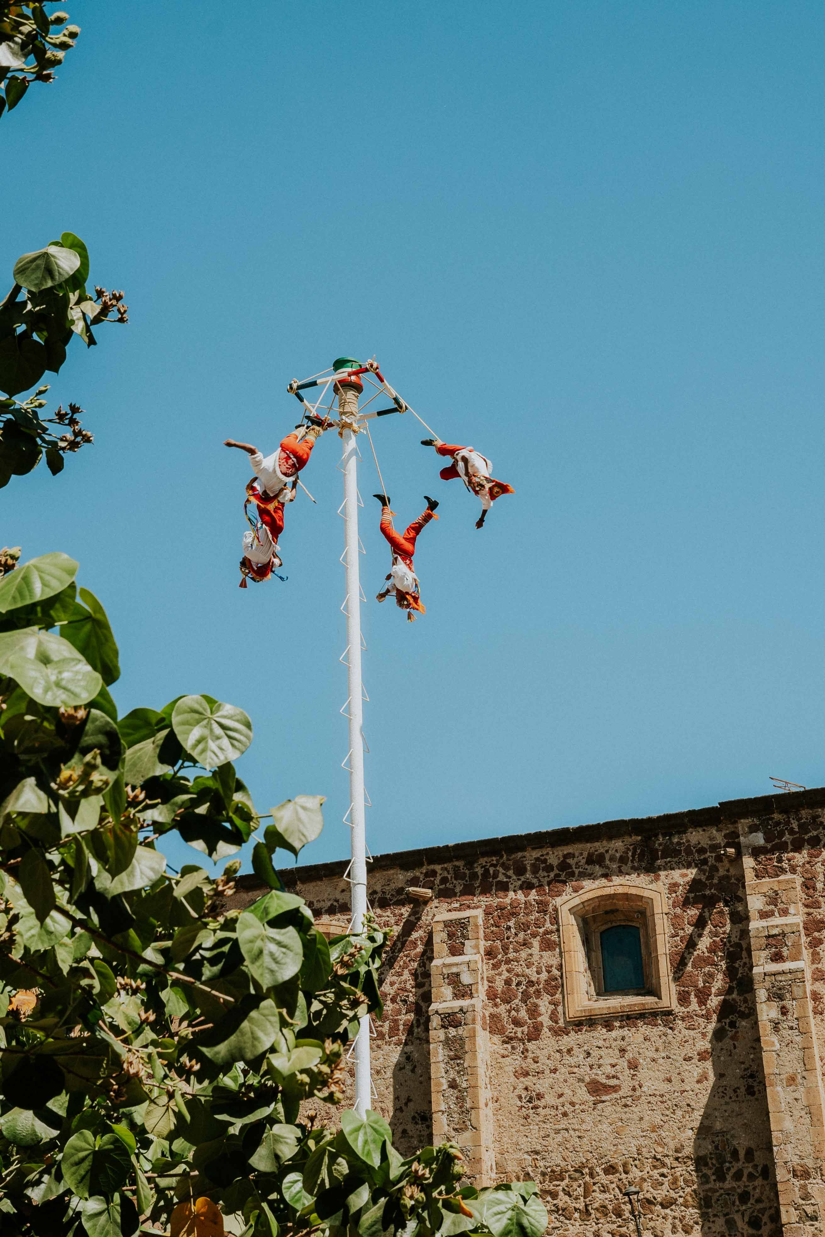 Gos Volador Photos, Download The BEST Free Gos Volador Stock Photos ...