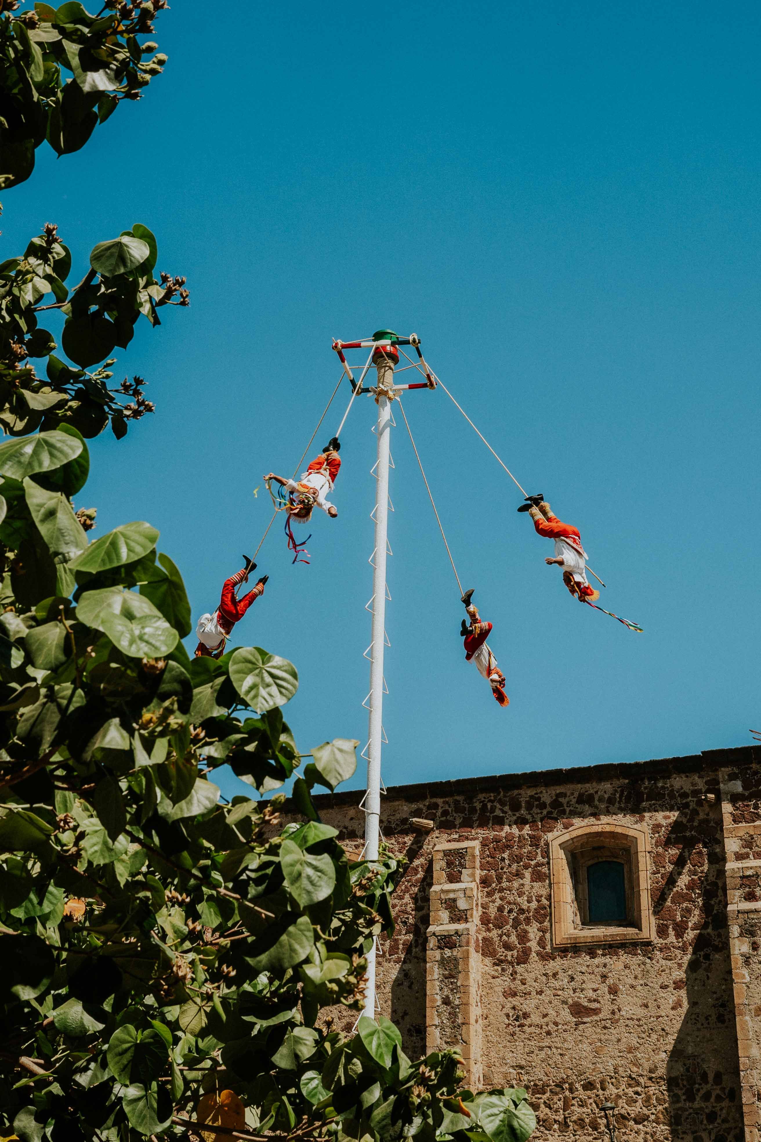 Gos Volador Photos, Download The BEST Free Gos Volador Stock Photos ...