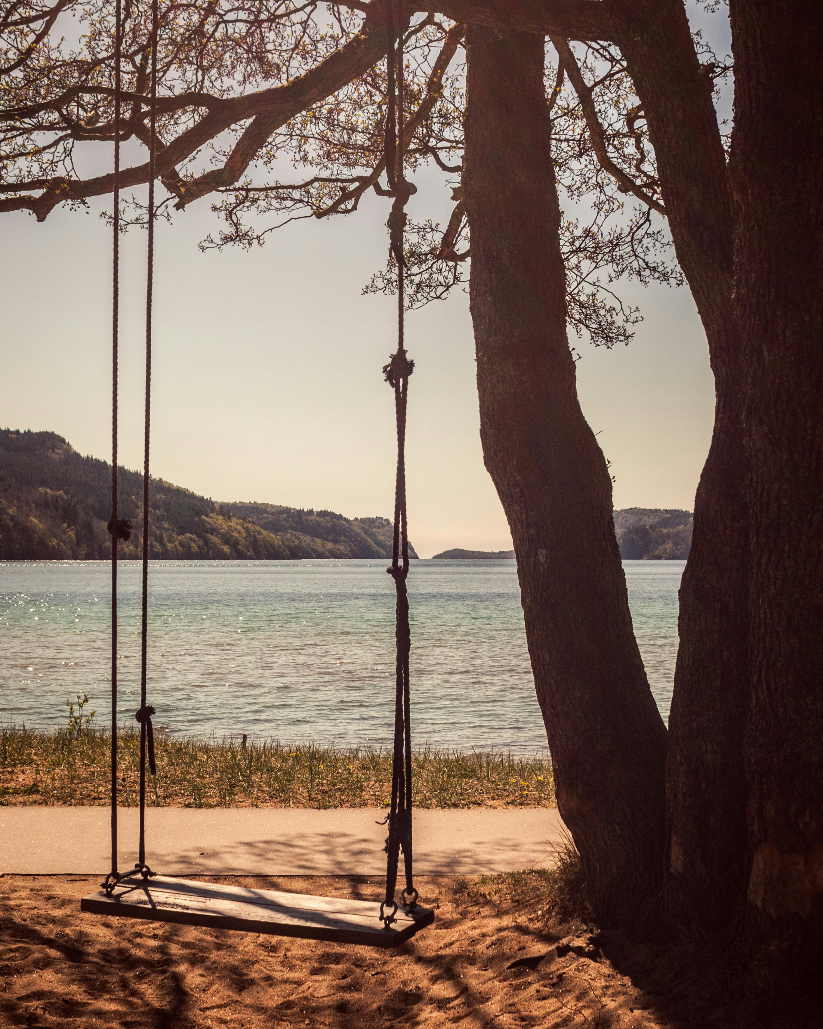 Mood Swing Photos, Download The BEST Free Mood Swing Stock Photos & HD ...