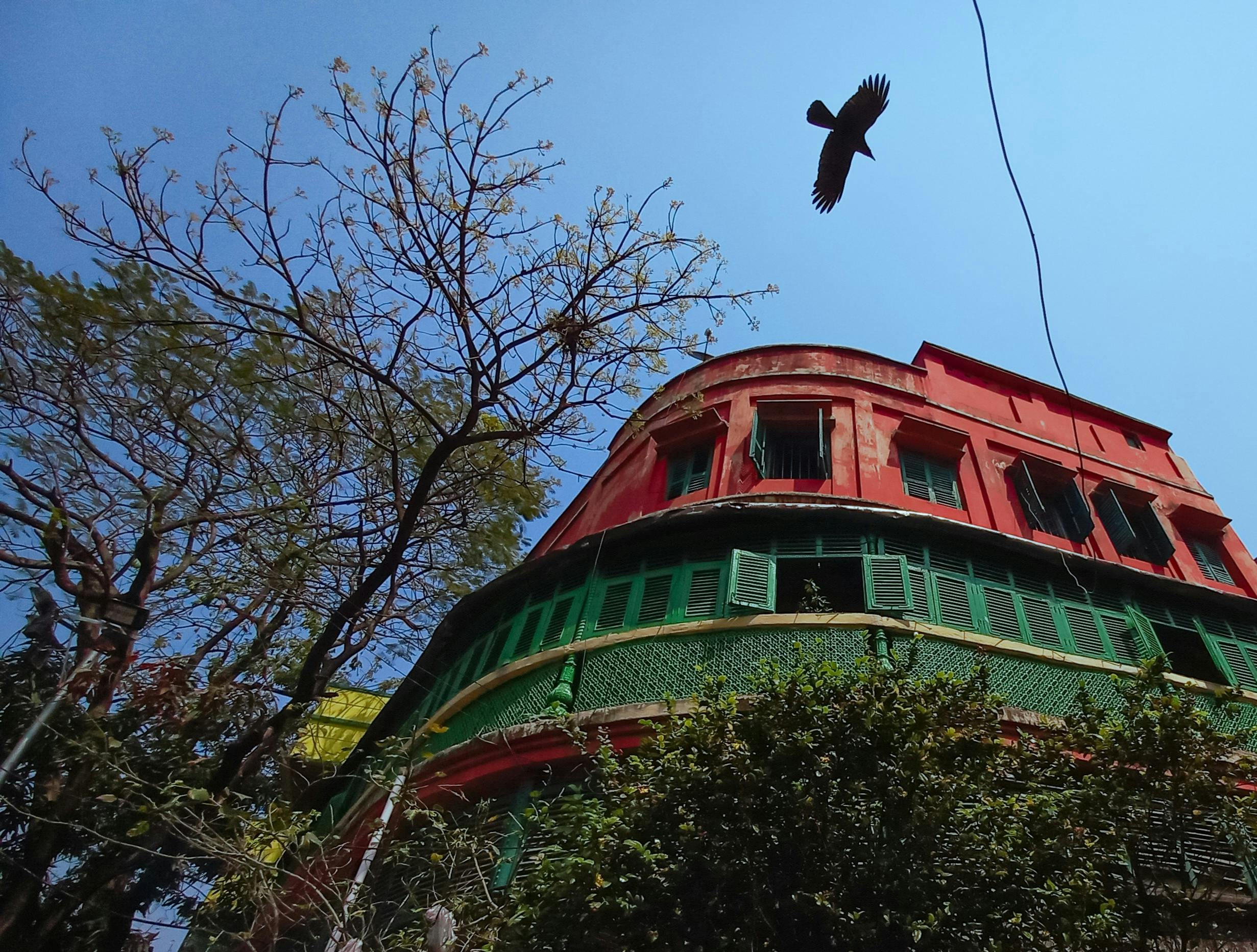 Birds Flying Over Concrete Buildings · Free Stock Photo